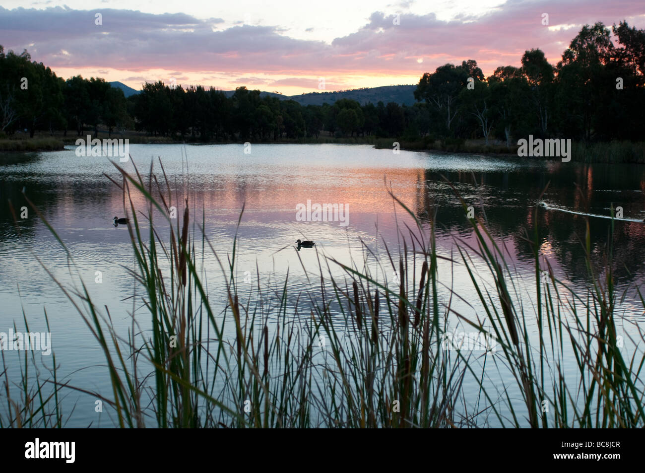 Australian lake sunset hi-res stock photography and images - Alamy