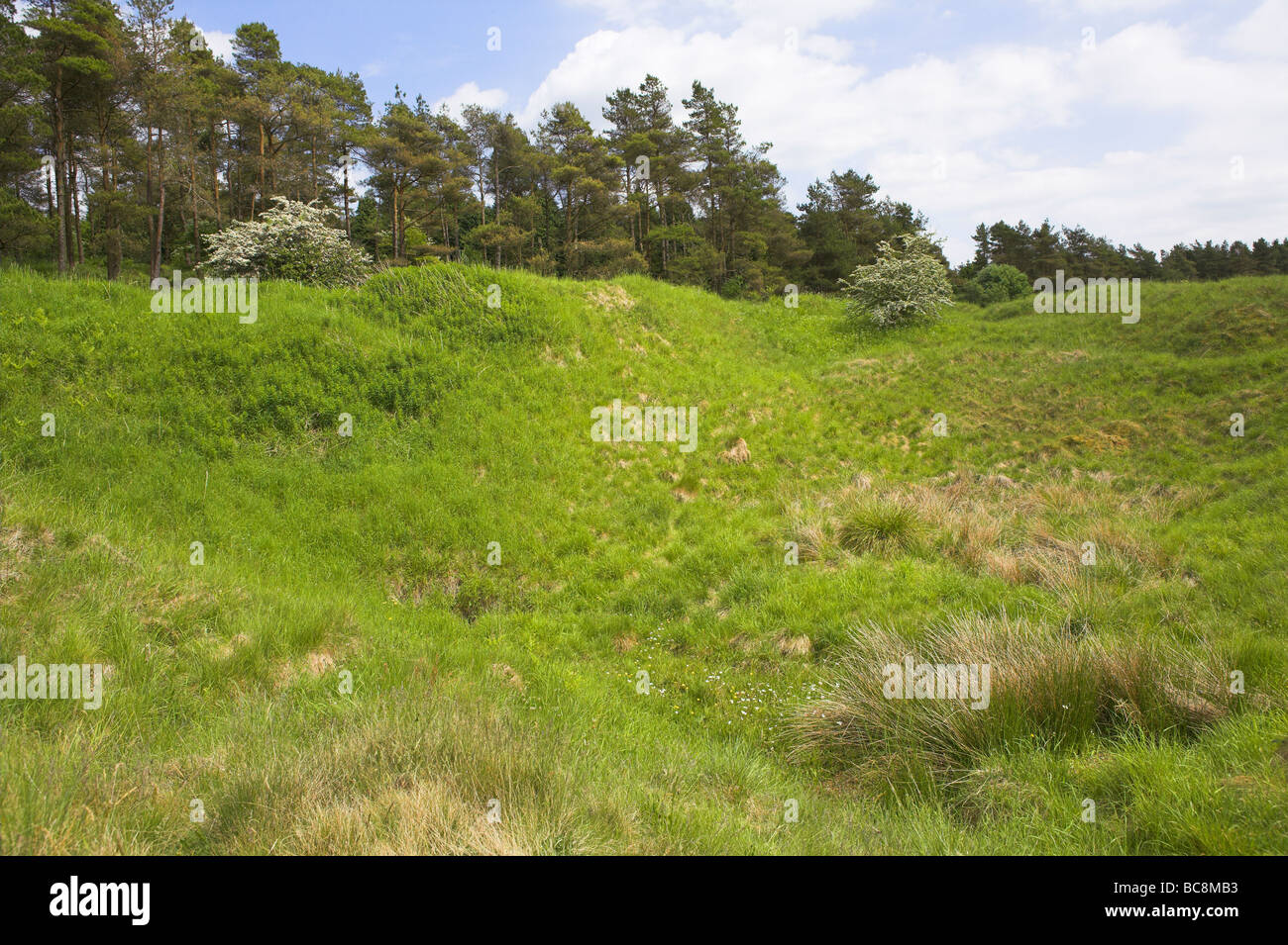 Priddy pools hi-res stock photography and images - Alamy