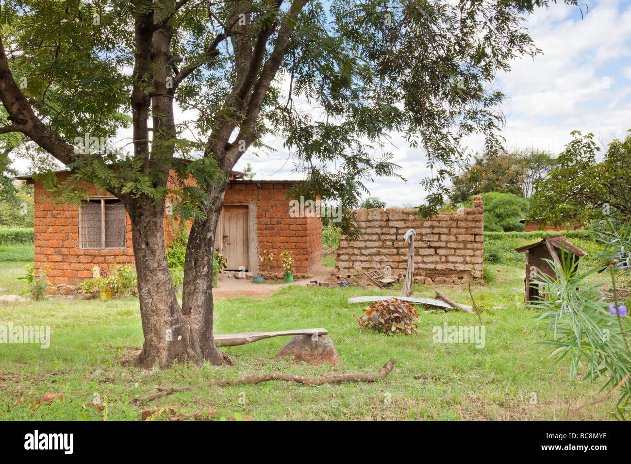African mud brick house and tree. Kikwe Village Arumeru District Arusha ...