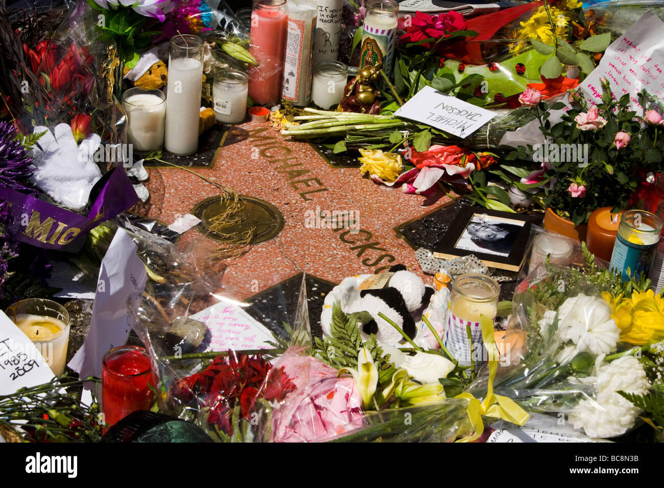 Michael Jackson Memorial Hollywood Walk of Fame Los Angeles County ...