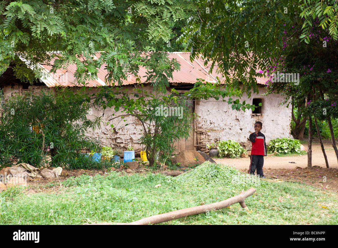 A young African boy outside a mud brick house. Kikwe Village Arumeru ...