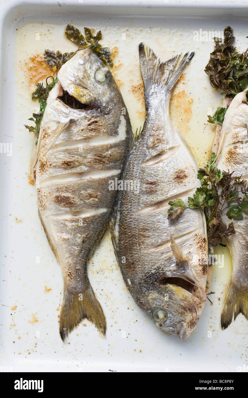 Roasted sea bream with parsley (overhead view Stock Photo - Alamy
