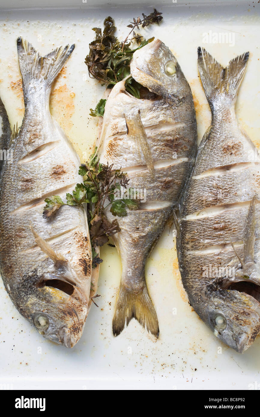 Roasted sea bream with parsley (overhead view Stock Photo - Alamy