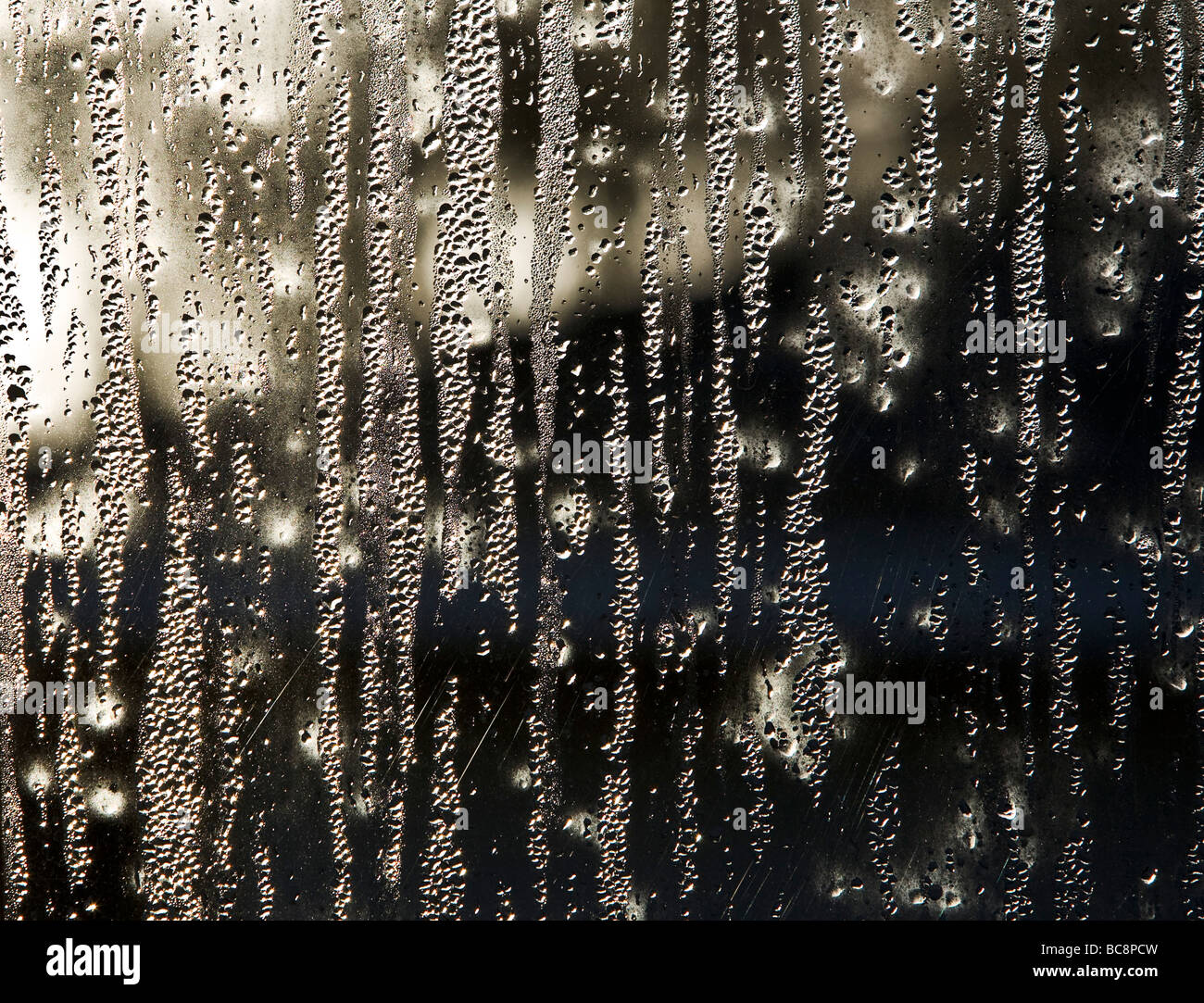 Dew drops on a window Los Angeles County California United States of ...