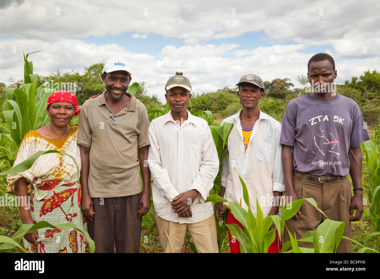 Portrait of five African farmers in a field of Maize. Kikwe Village ...