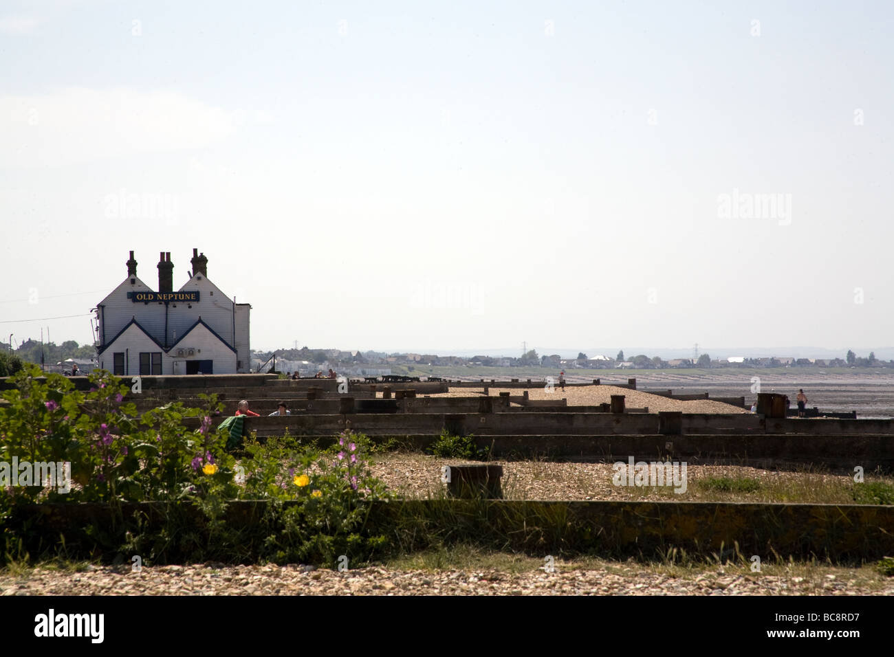 The Old Neptune pub on the beach at Whitstable Kent UK Stock Photo - Alamy