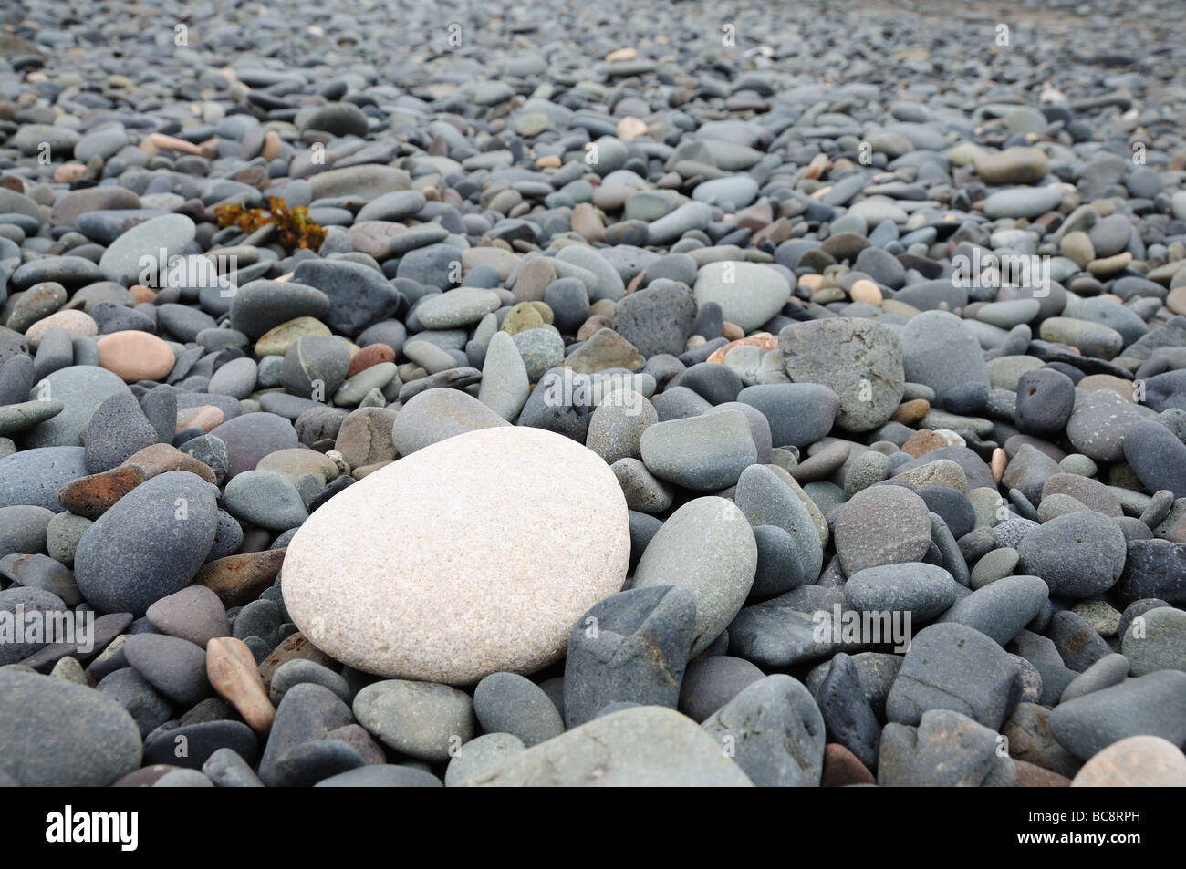 Grey pebbles on the beach Stock Photo - Alamy