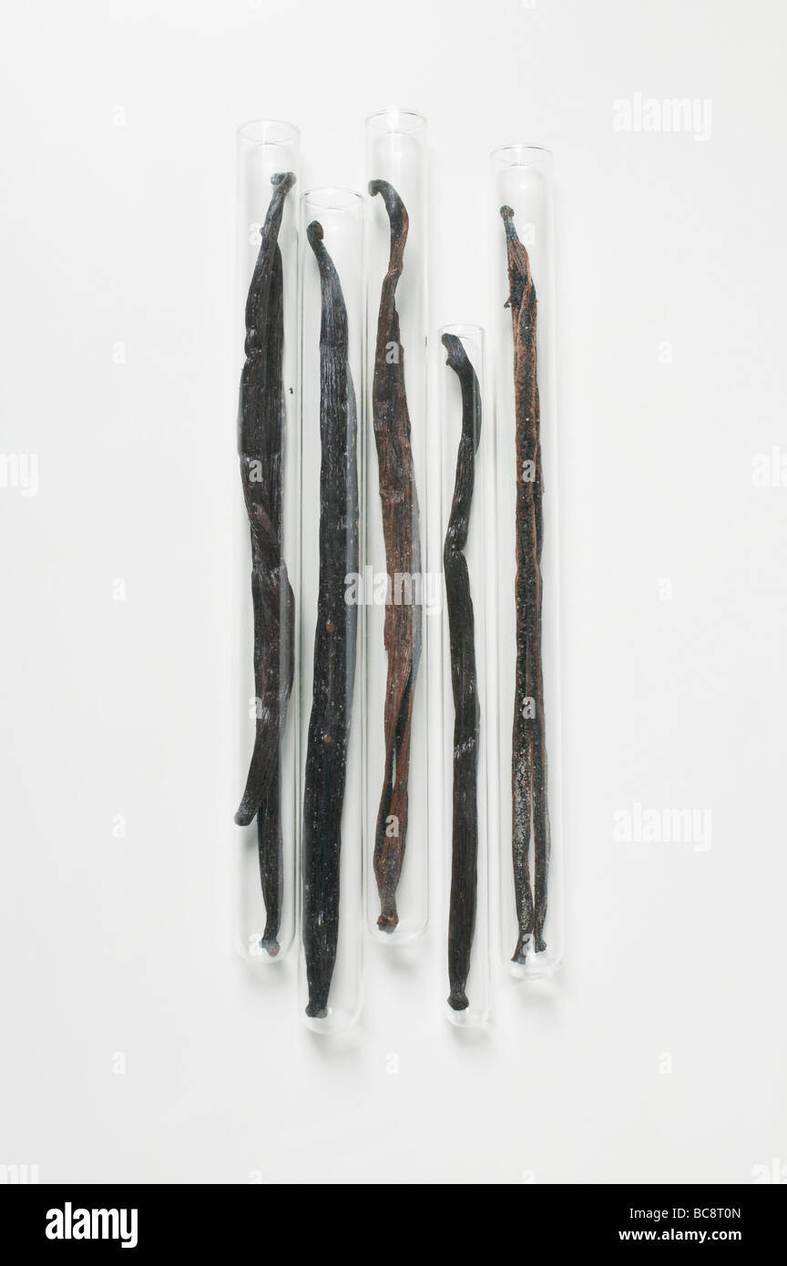 Vanilla pods in glass tubes Stock Photo - Alamy