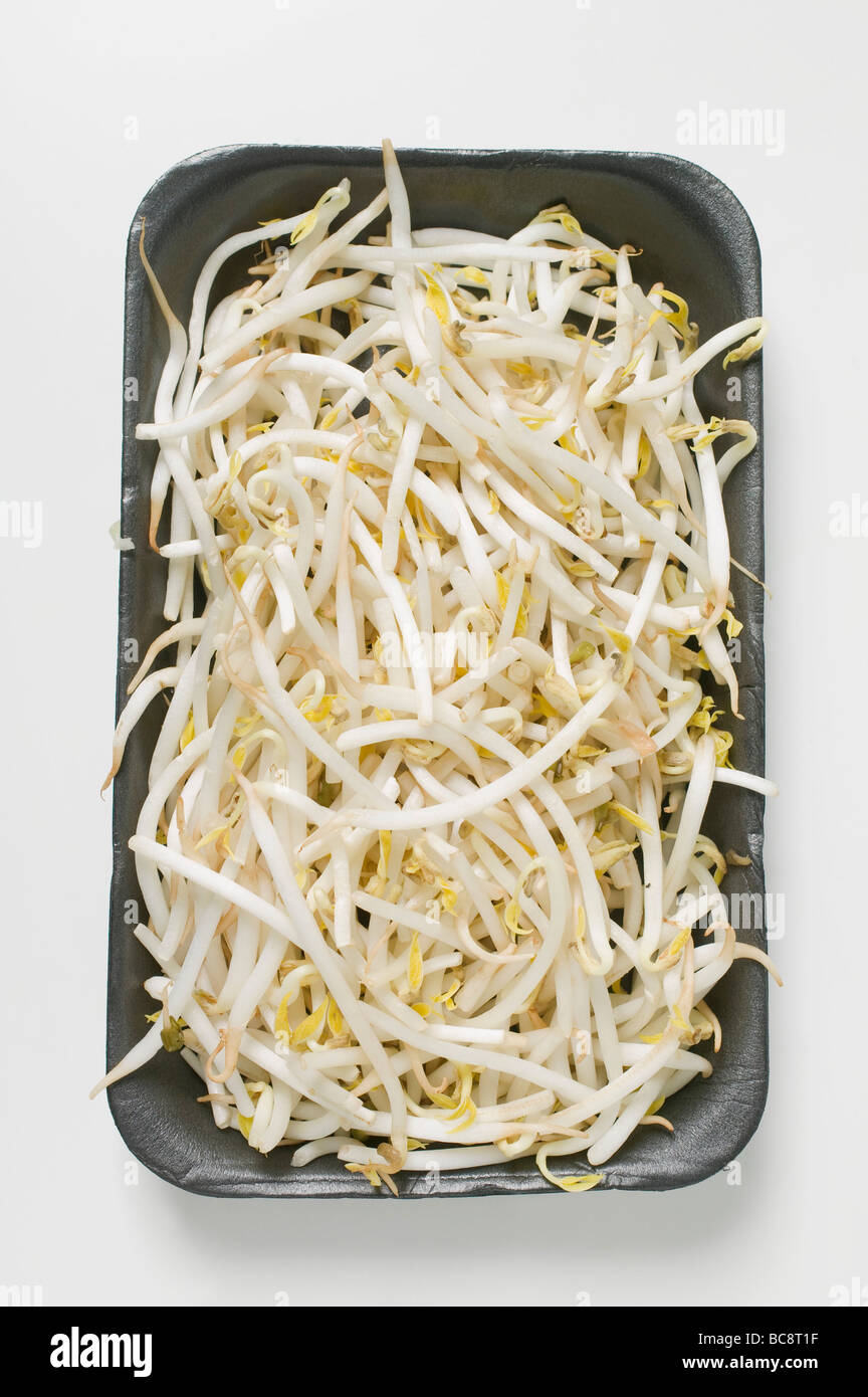 Polystyrene seedling tray hi-res stock photography and images - Alamy