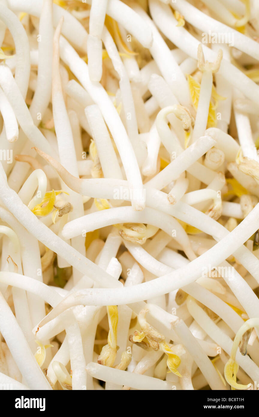 Fresh sprouts (full-frame Stock Photo - Alamy