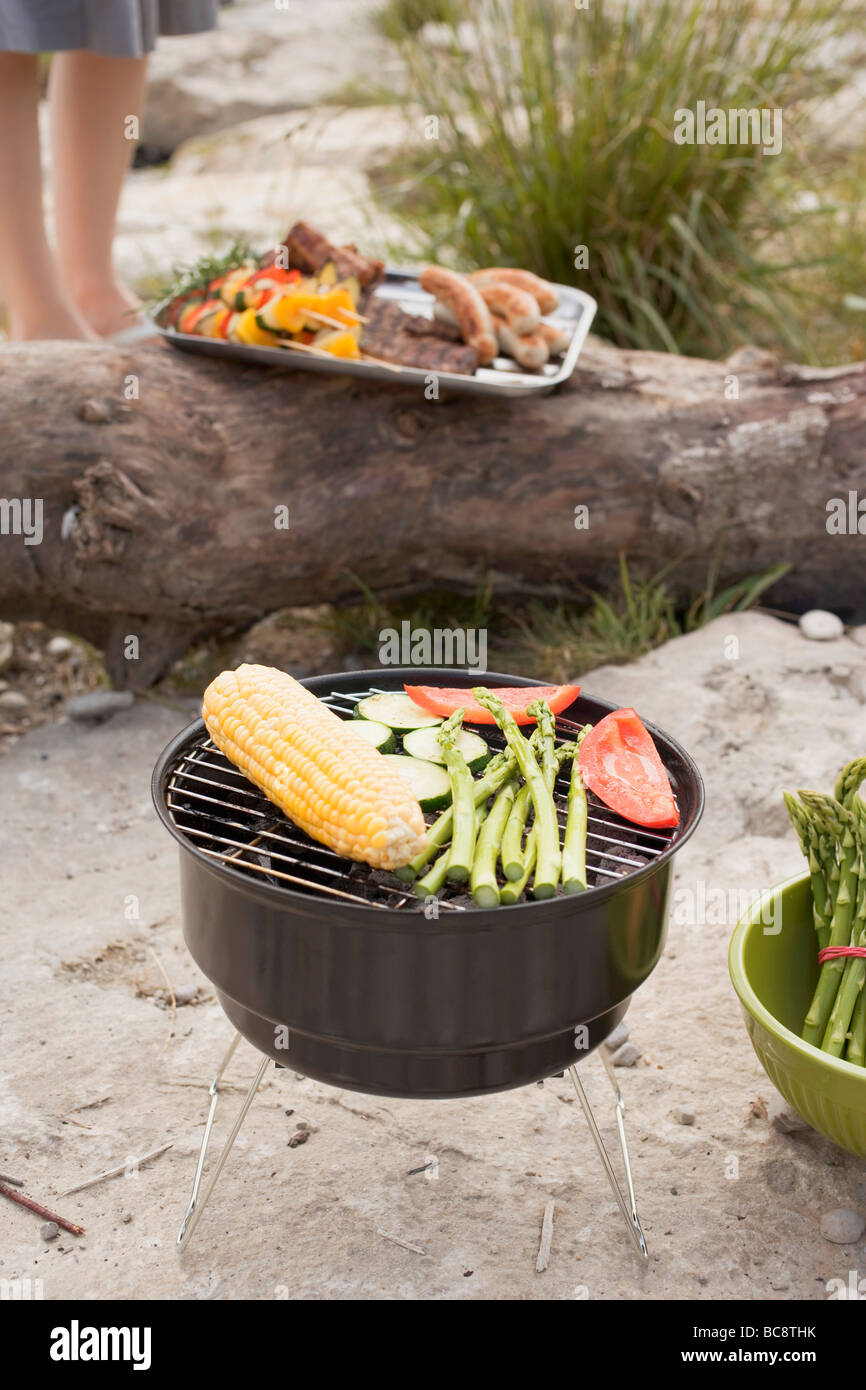 Barbecue on a river bank Stock Photo - Alamy