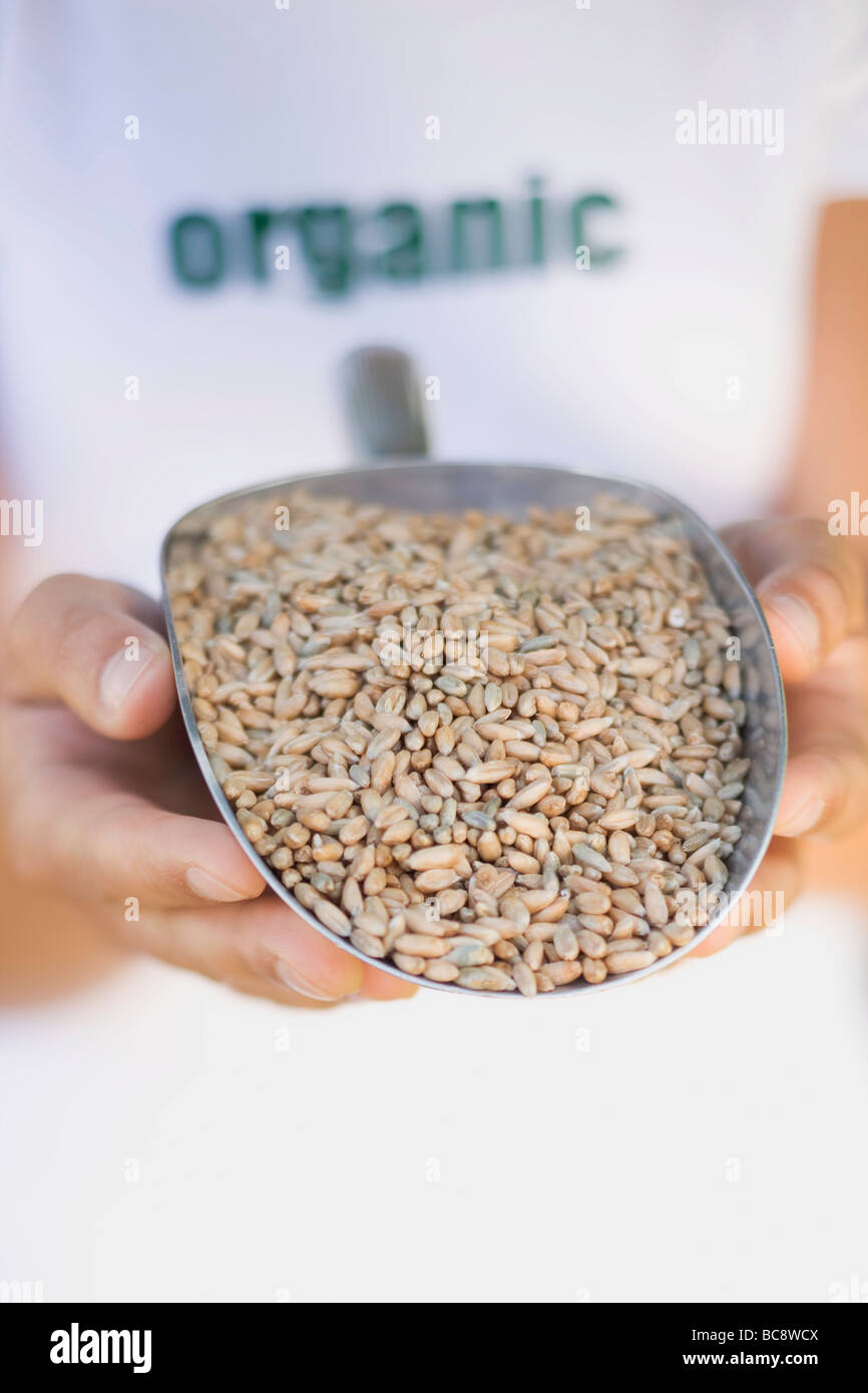 Hands holding a scoop full of cereal grains Stock Photo - Alamy