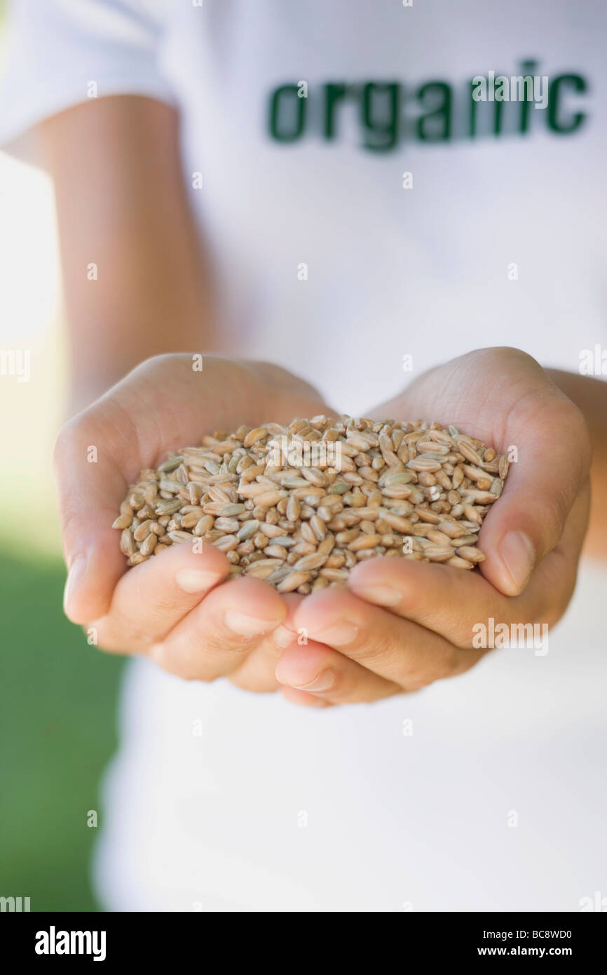 Hands holding cereal grains Stock Photo - Alamy