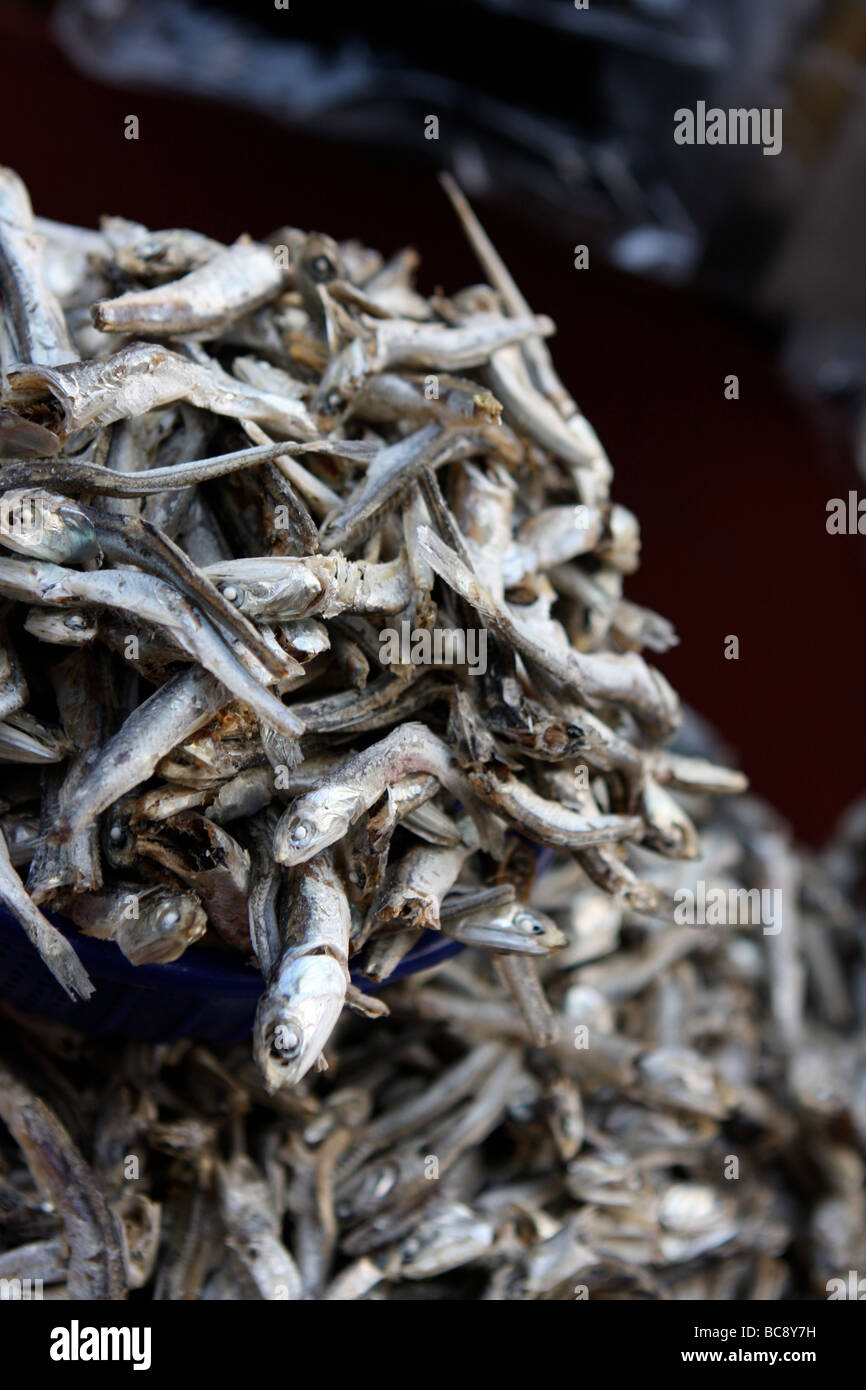 thousands of tiny fish Stock Photo - Alamy