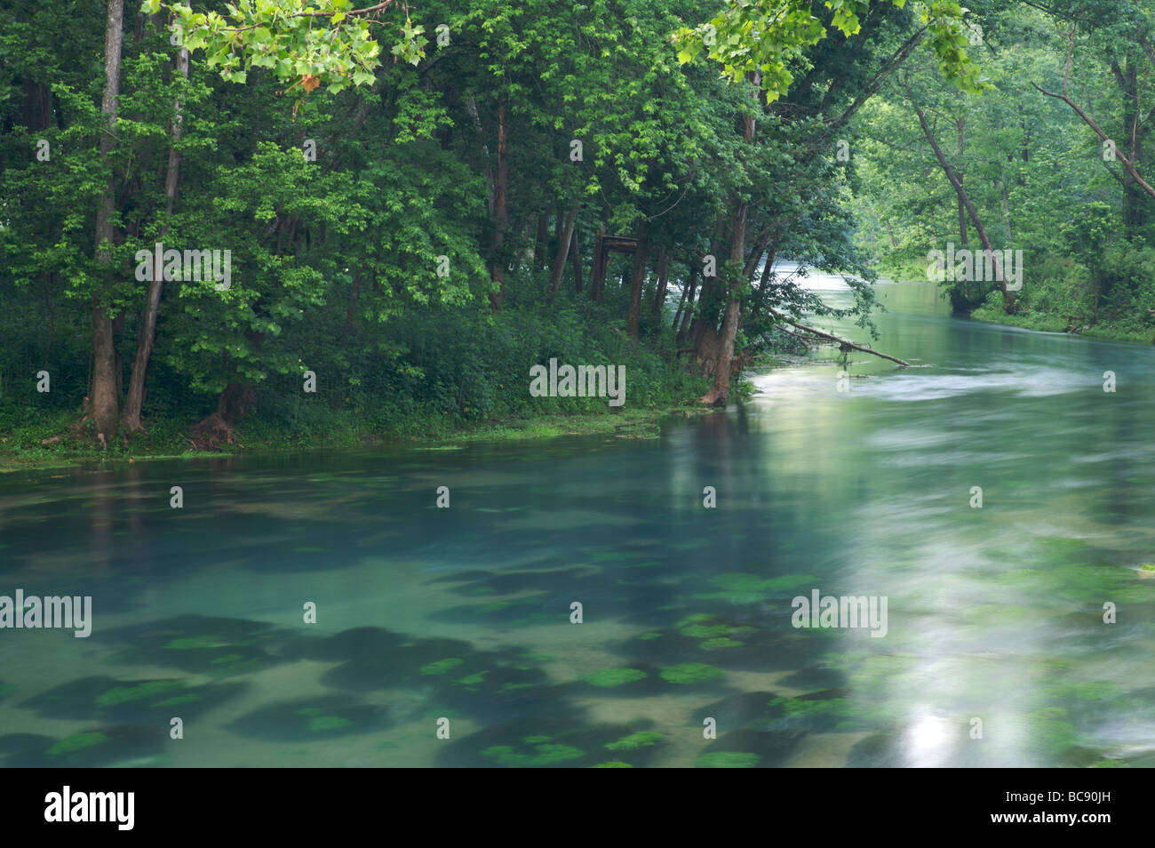 River flowing downstream from underground spring in early morning with ...