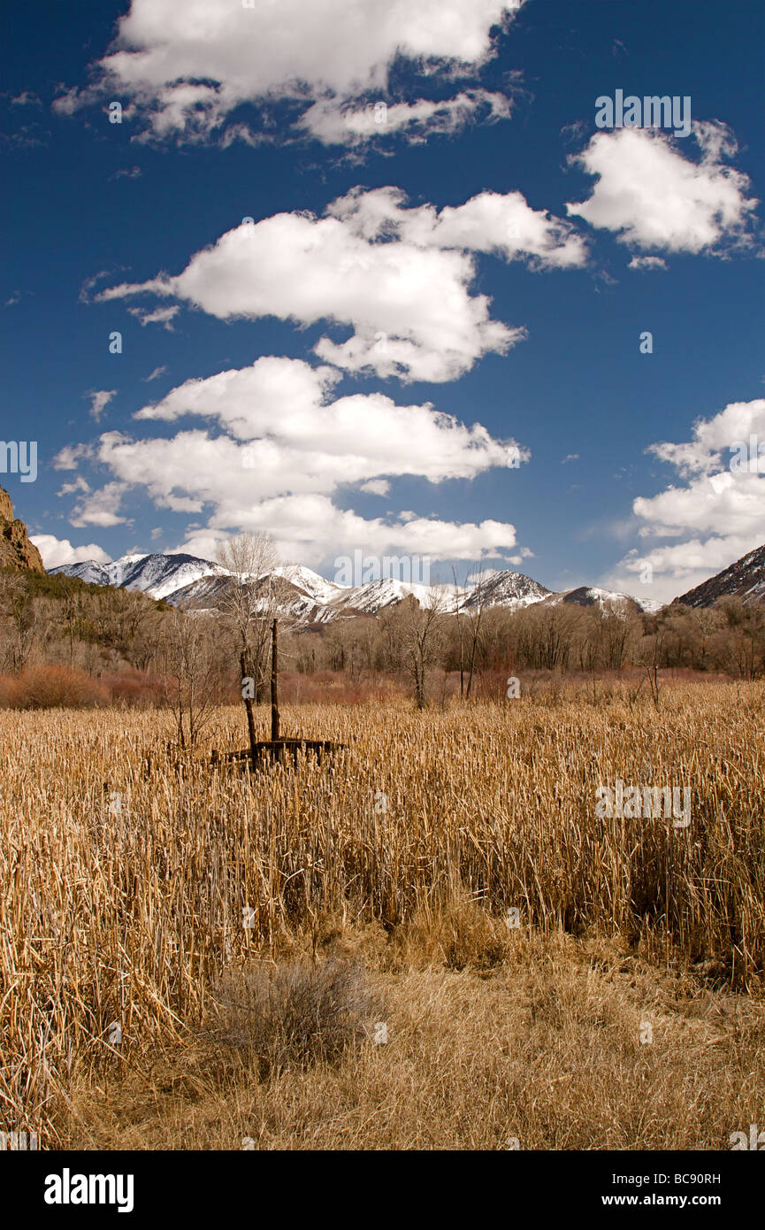 Western Colorado ranch land with wooden fences Stock Photo - Alamy