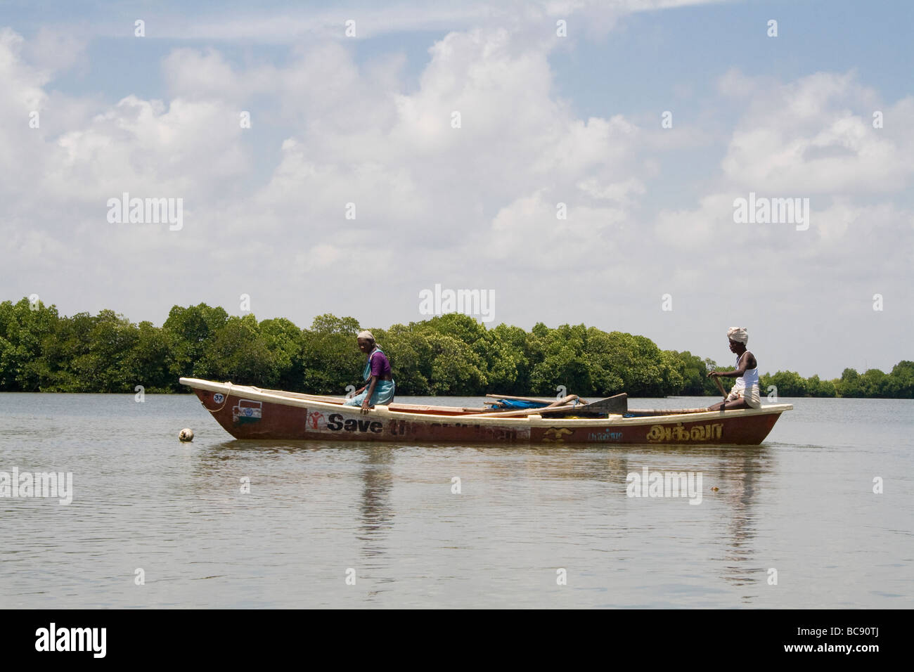 PICHAVARAM MANGROVE FORESTS Stock Photo - Alamy