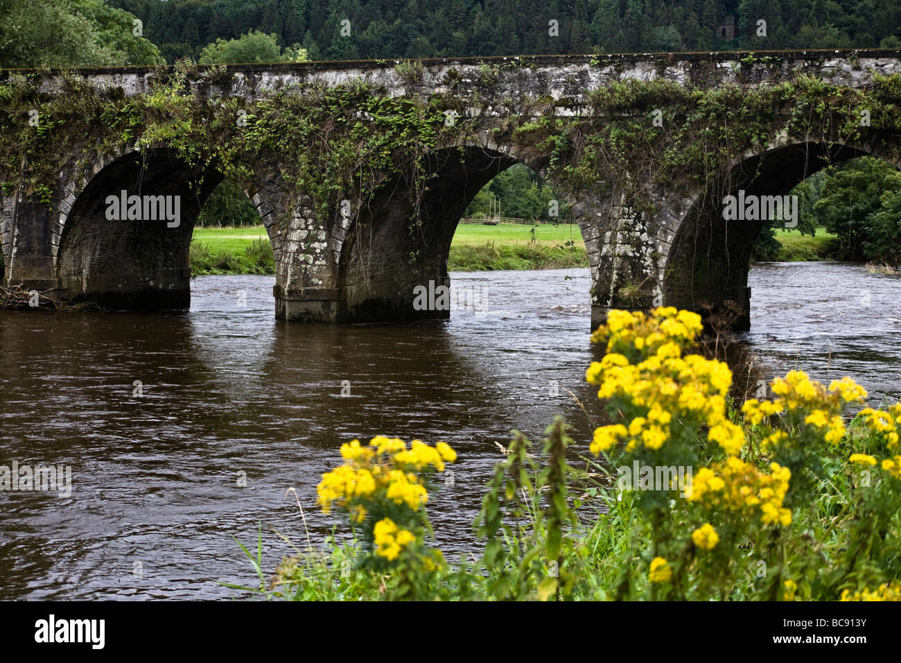The ten arch stone bridge spanning the River Nore, Inistioge, County ...