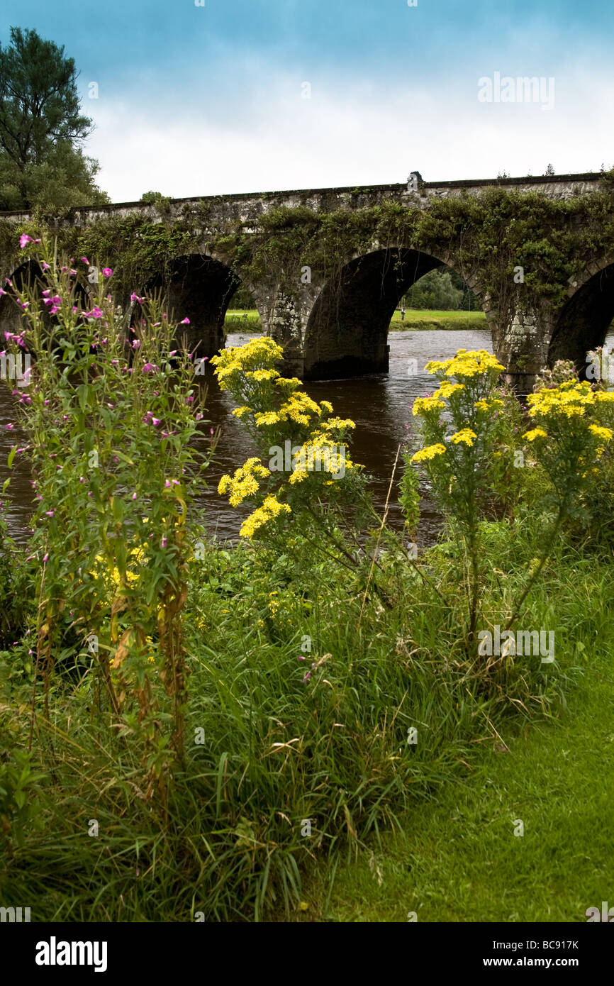 The ten arch stone bridge spanning the River Nore, Inistioge, County ...