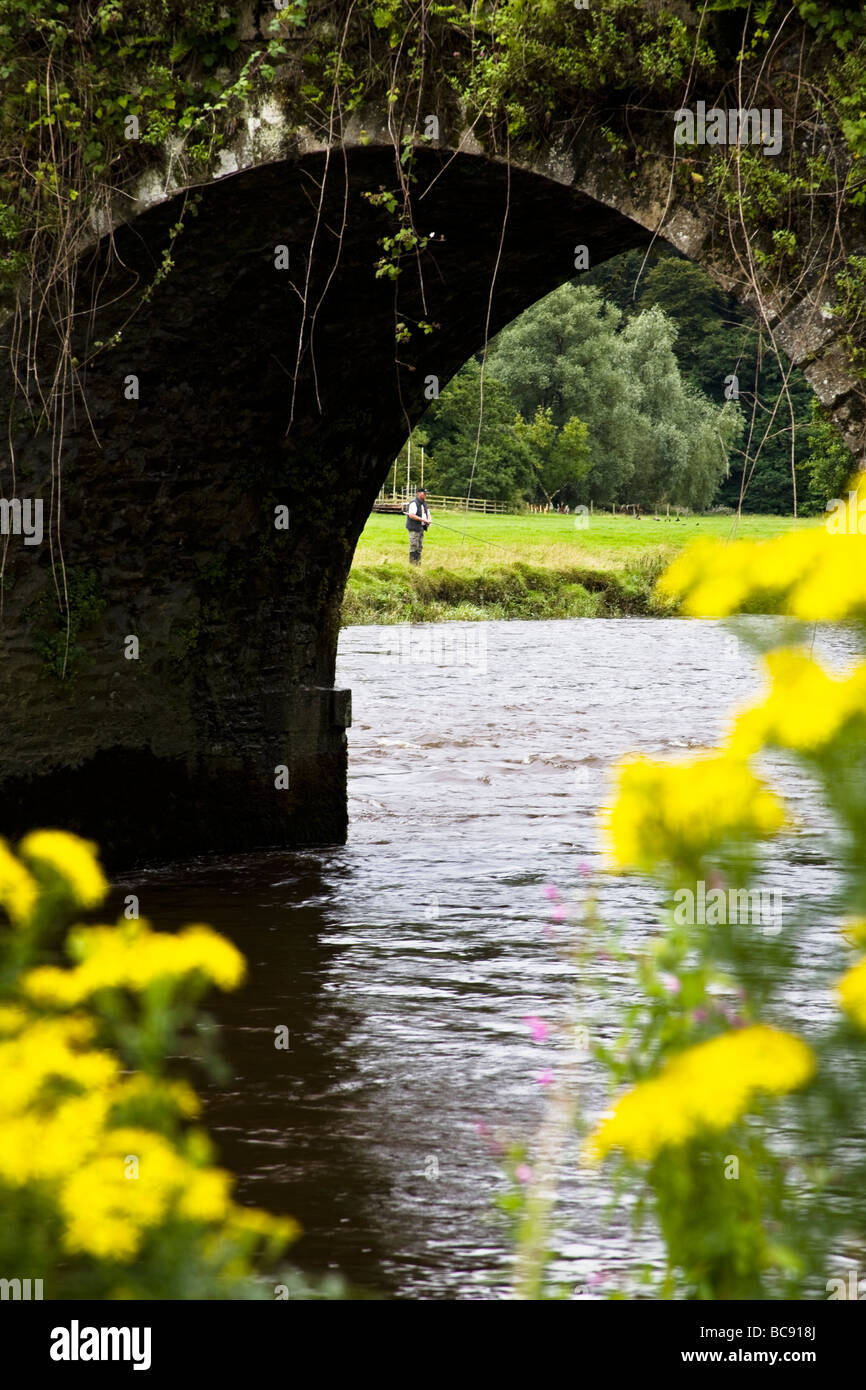 The ten arch stone bridge spanning the River Nore, Inistioge, County ...