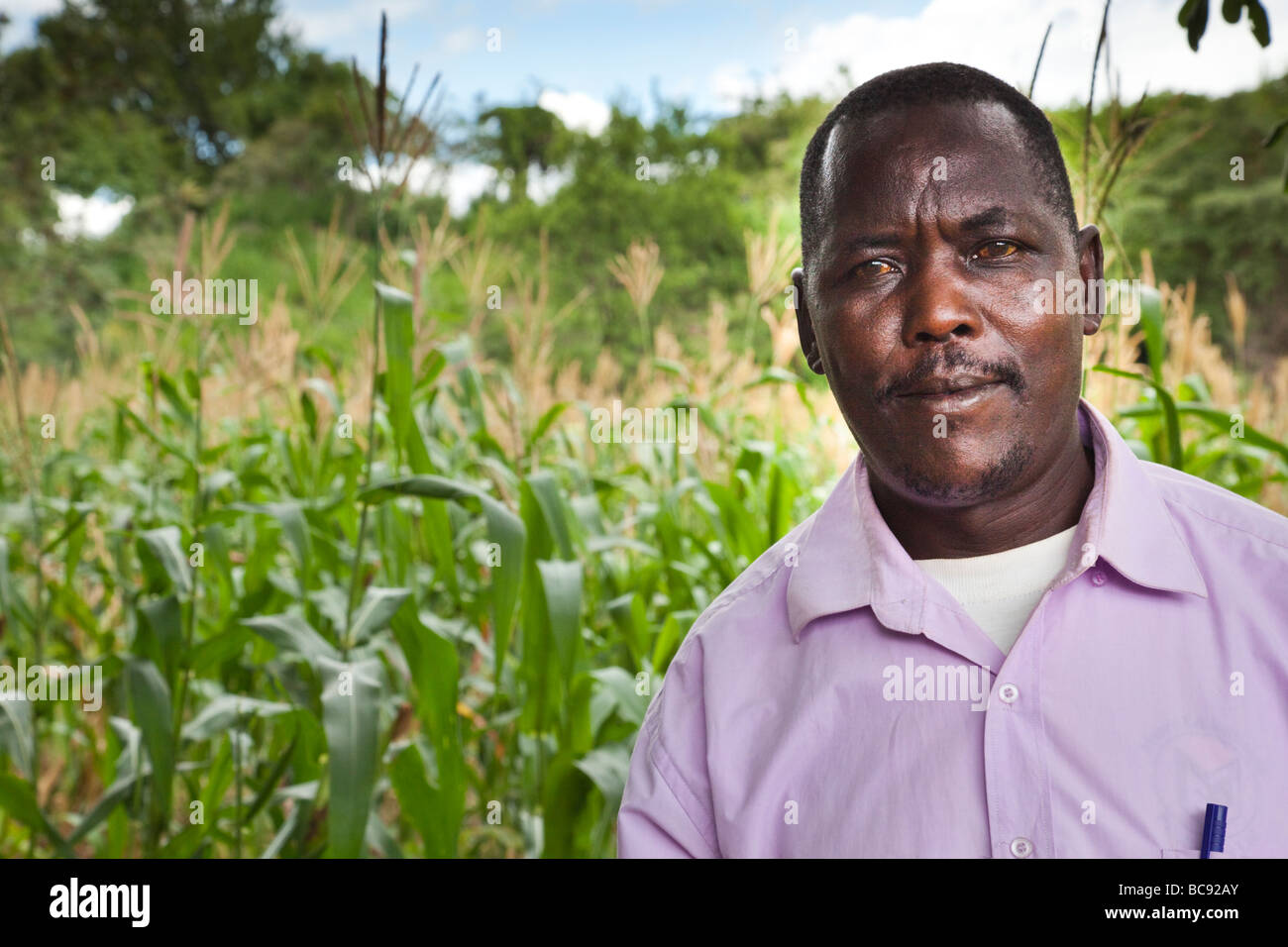 Portrait of an African smallholder farmer against a backdrop of Maize ...