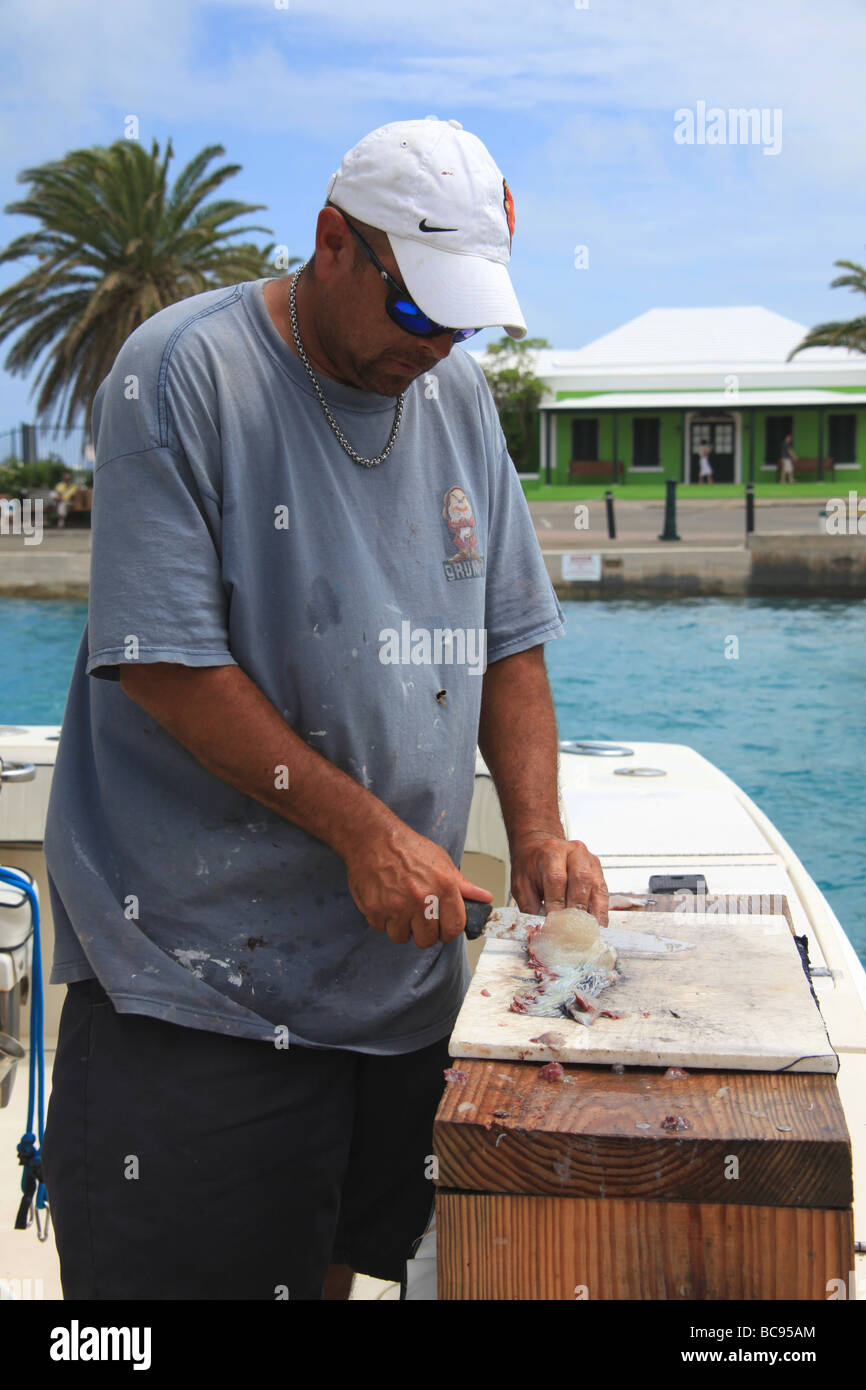 Focused on fish hi-res stock photography and images - Alamy