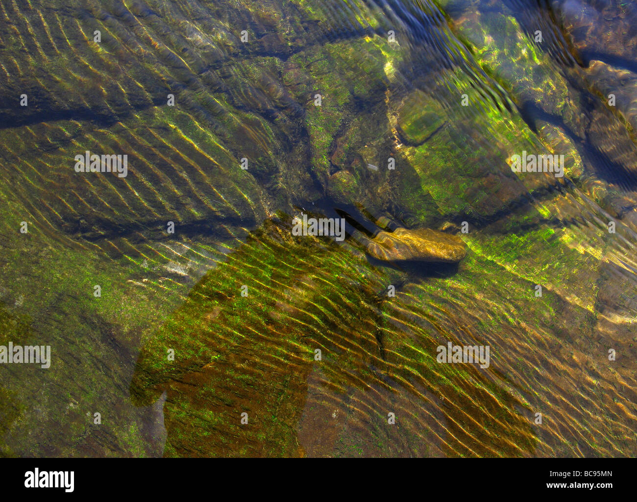 Up The Creek Poster Stock Photos & Up The Creek Poster Stock Images - Alamy