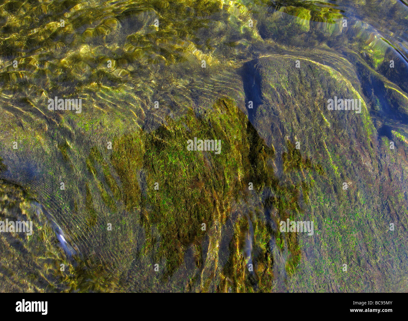 River water poster hi-res stock photography and images - Alamy