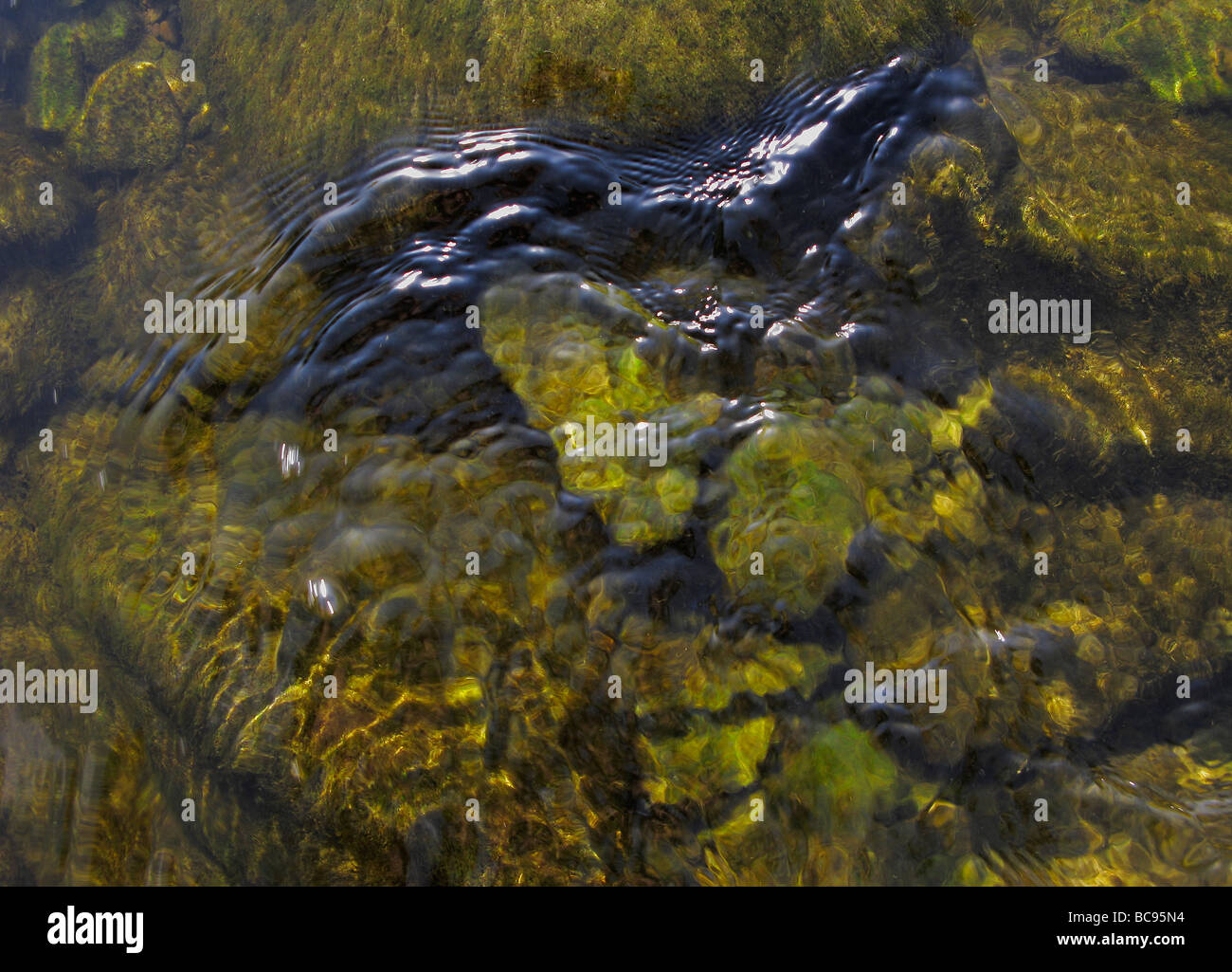 River close up concept Stock Photo - Alamy