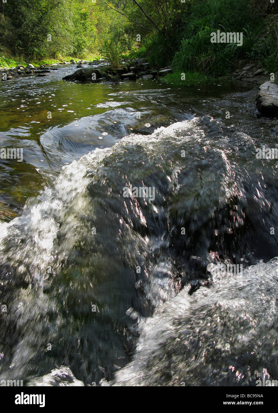 River close up concept Stock Photo - Alamy