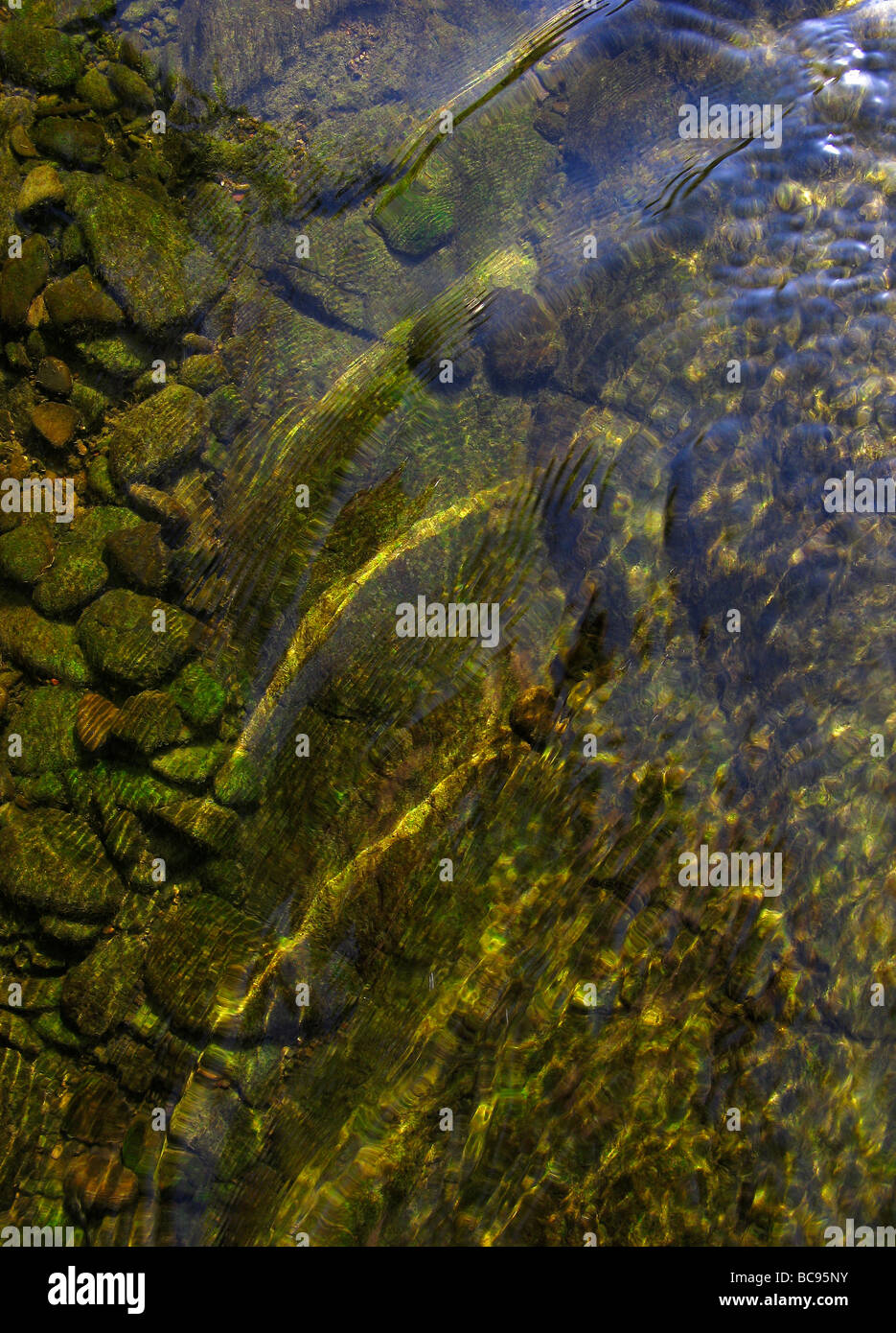 Up The Creek Poster Stock Photos & Up The Creek Poster Stock Images - Alamy