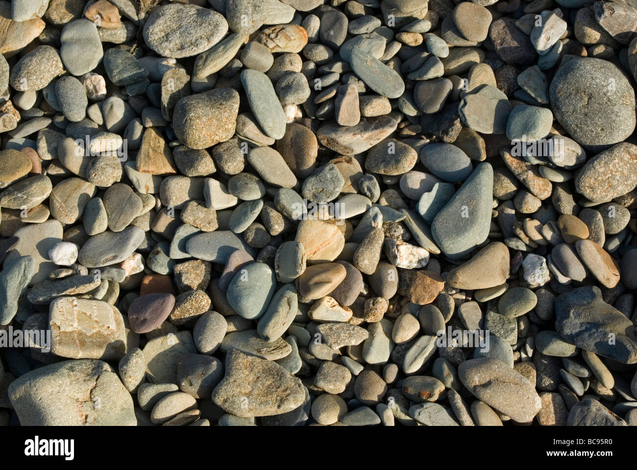 Pebbles on a beach Stock Photo - Alamy