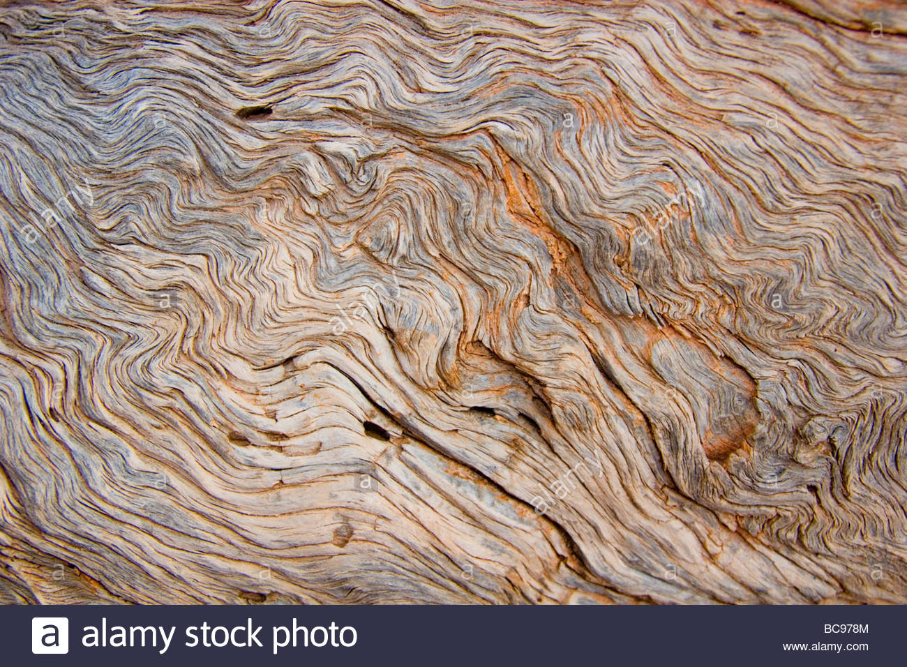 Sandblasted Wood High Resolution Stock Photography and Images - Alamy