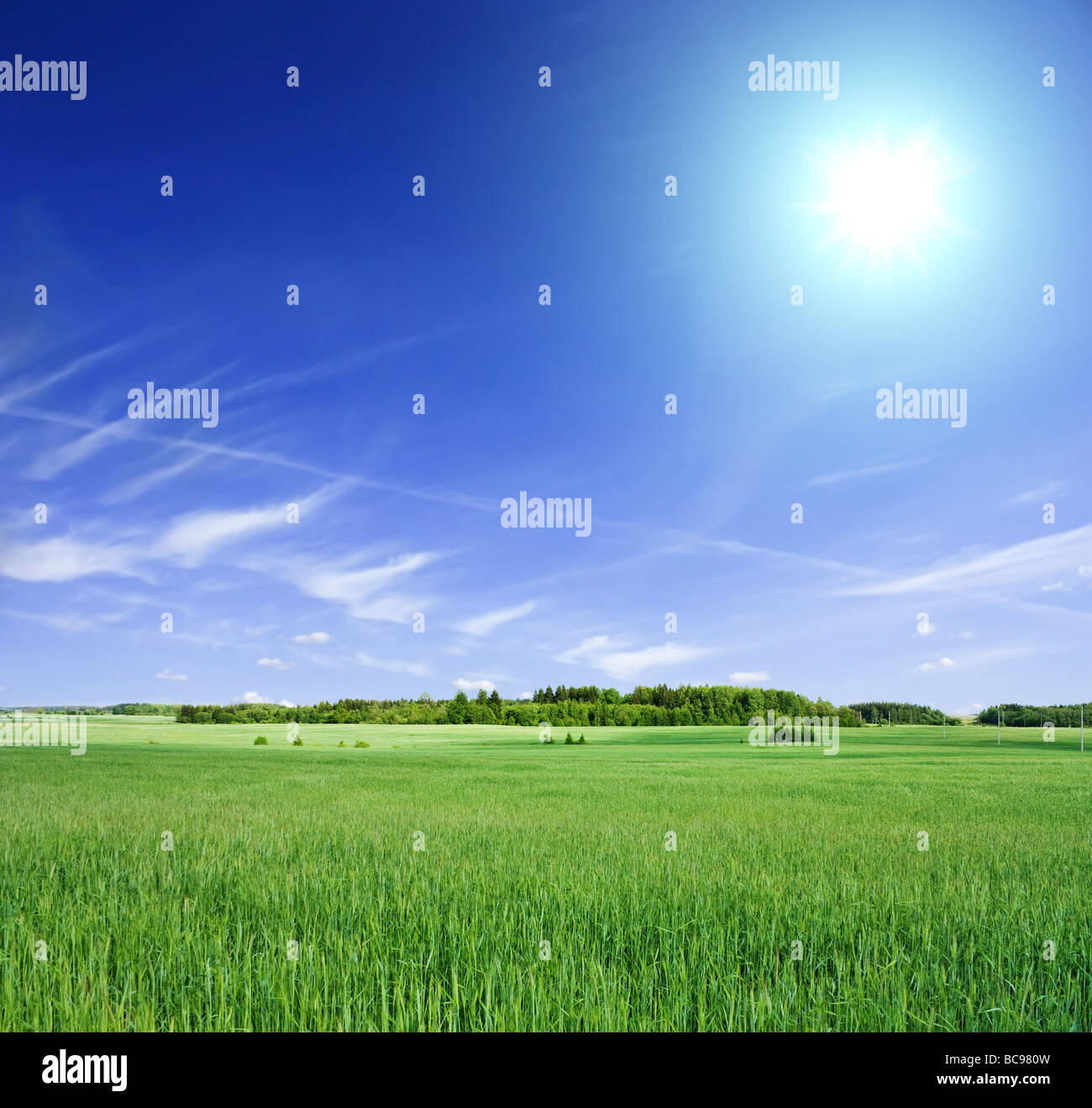 summer landscape sun Stock Photo - Alamy