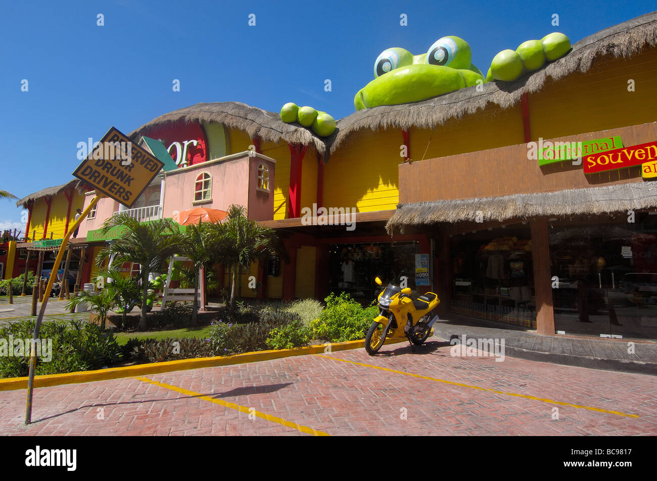 Mister Frog Fun famous meeting Point at Cancun Caribe Quintana Roo ...
