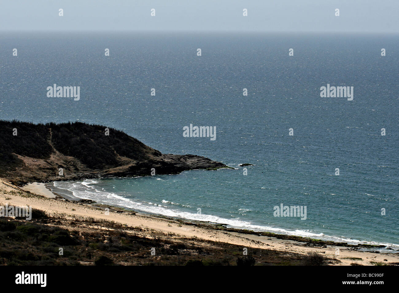 Exploded view tree hi-res stock photography and images - Alamy