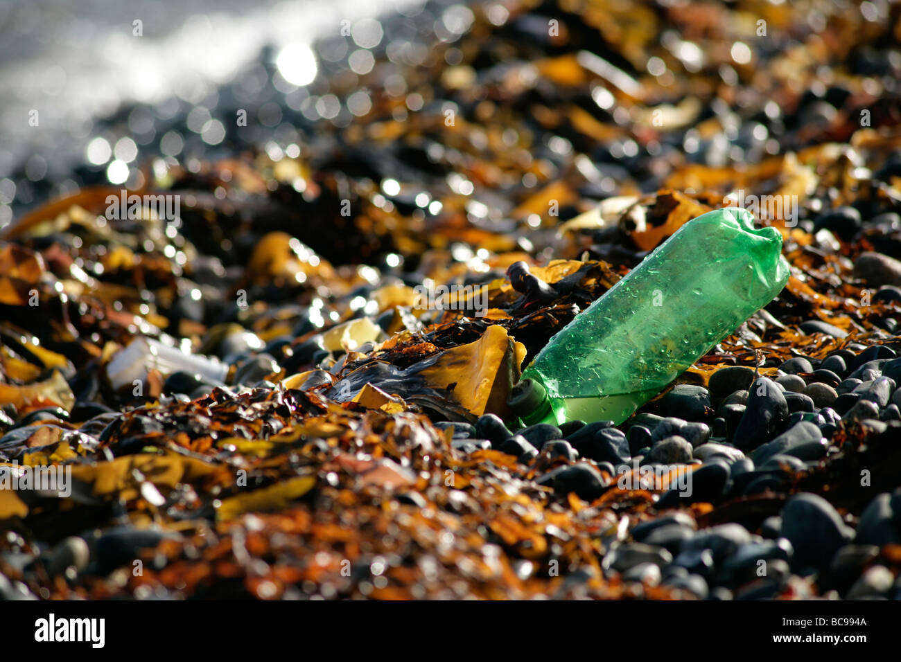 Turning back the plastic tide. Discarded plastic bottle on Penzance ...