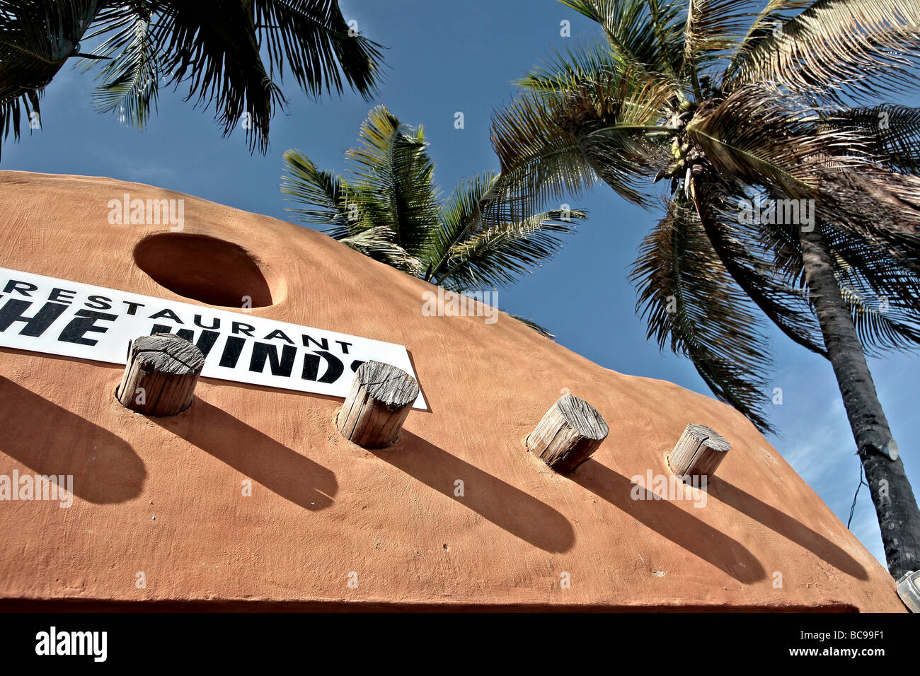 Exploded view tree hi-res stock photography and images - Alamy
