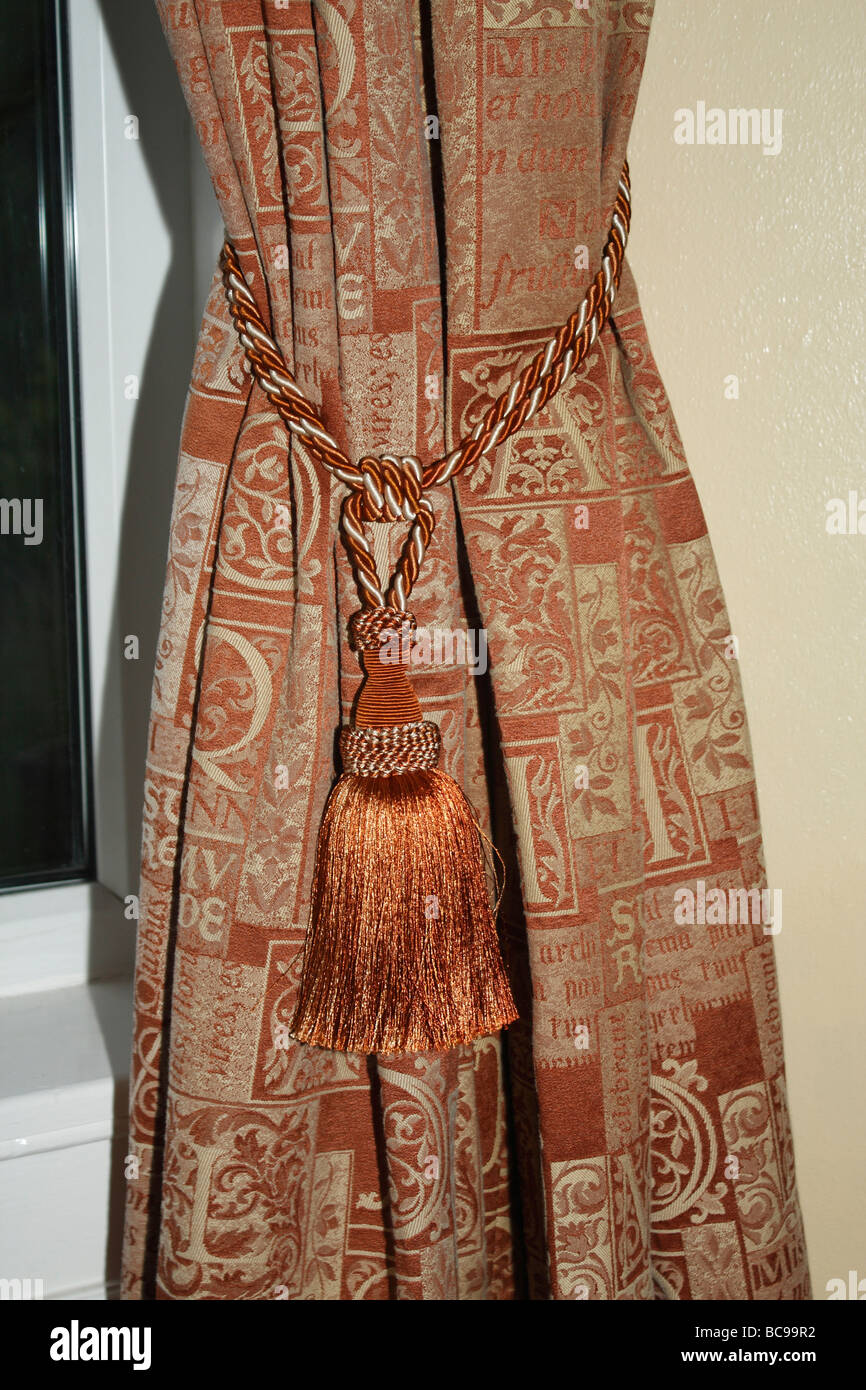 Bronze back hi-res stock photography and images - Alamy