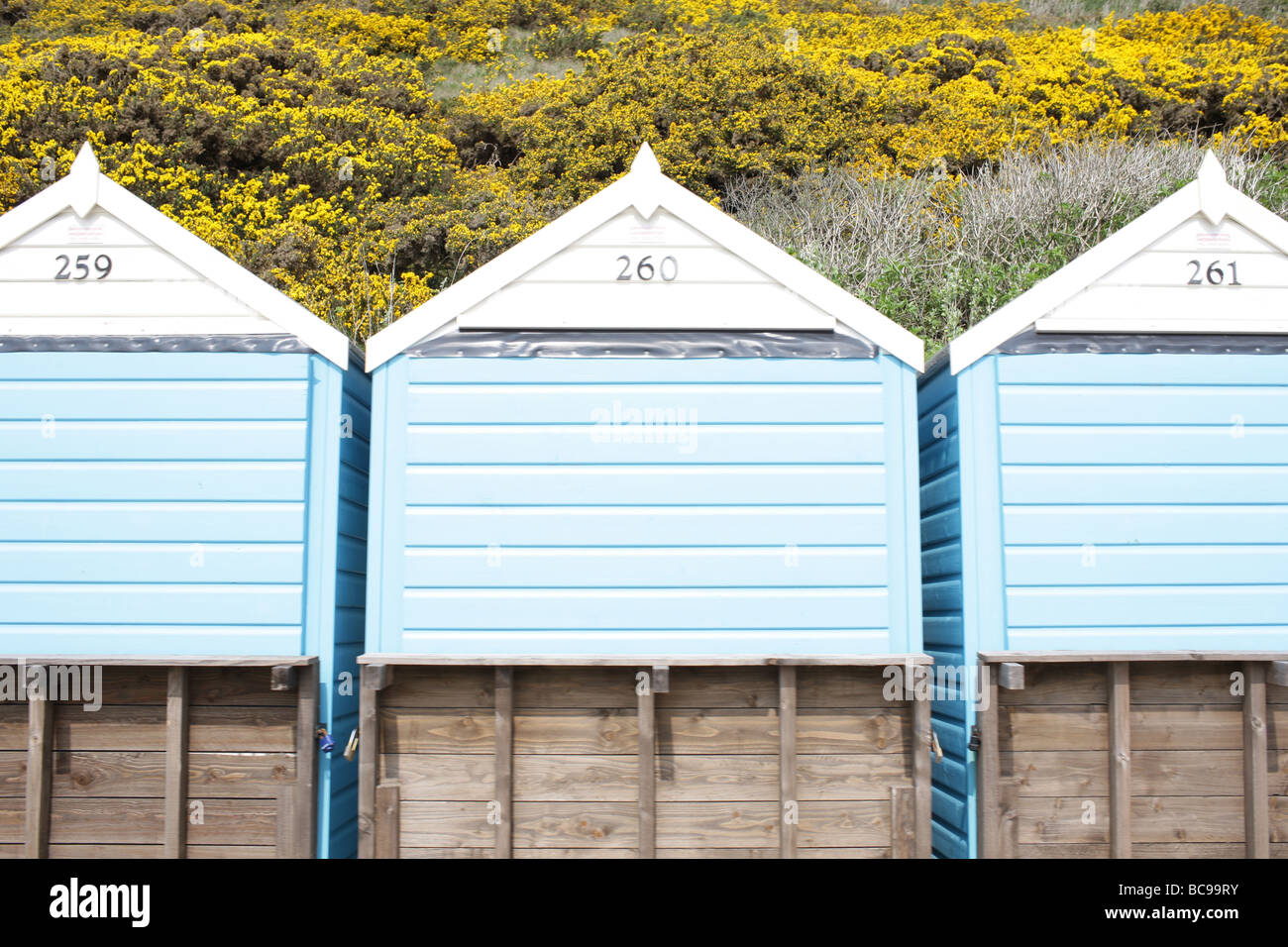 Beach beaches front hut huts row sea seafront seaside hi-res stock ...