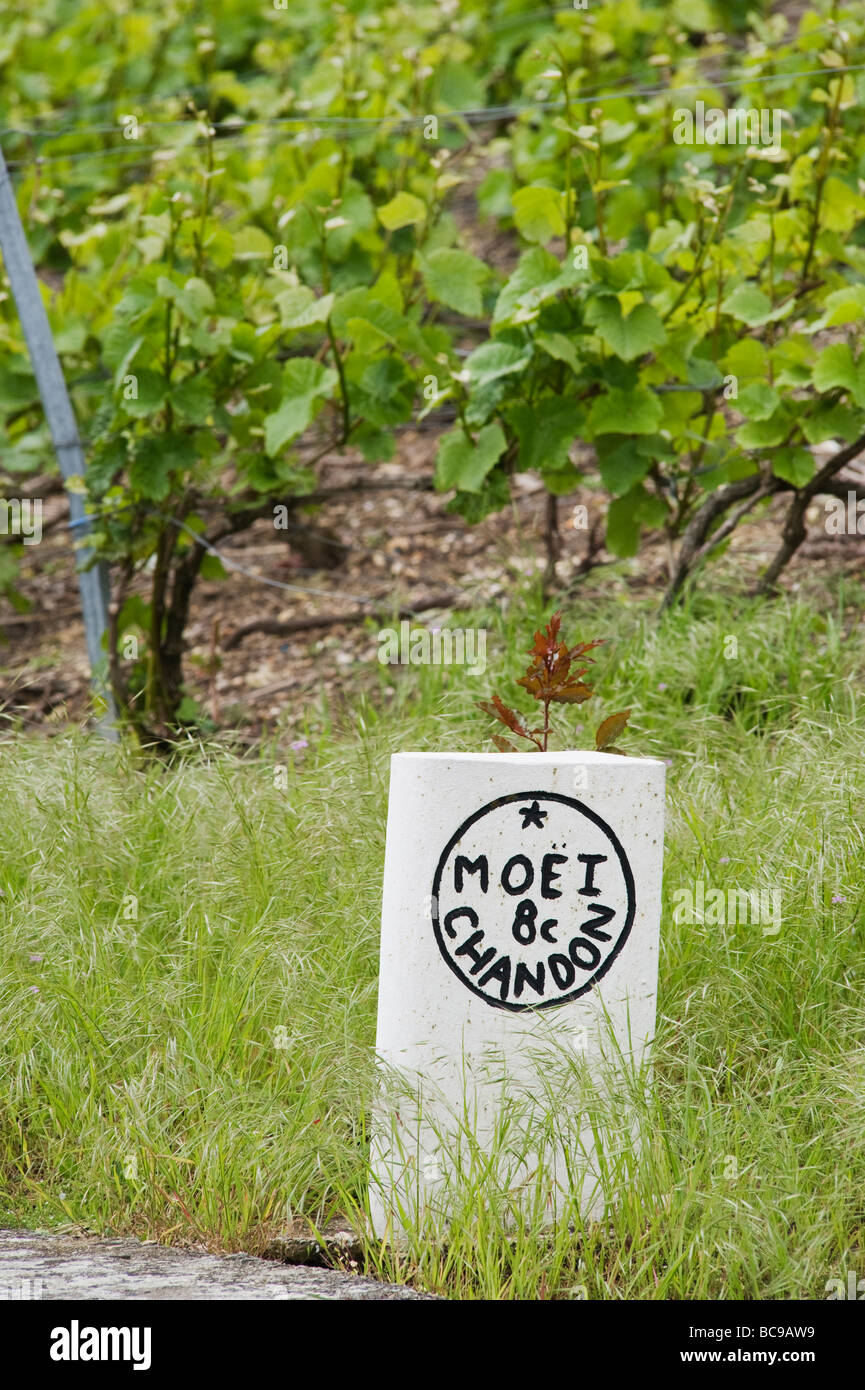 Moet sign hi-res stock photography and images - Alamy