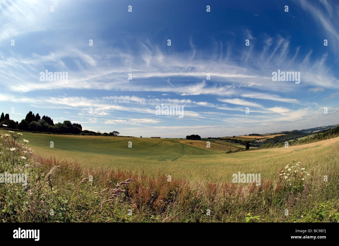 A traditional Devon combe or valley at Collaton Cross near Noss Mayo in ...