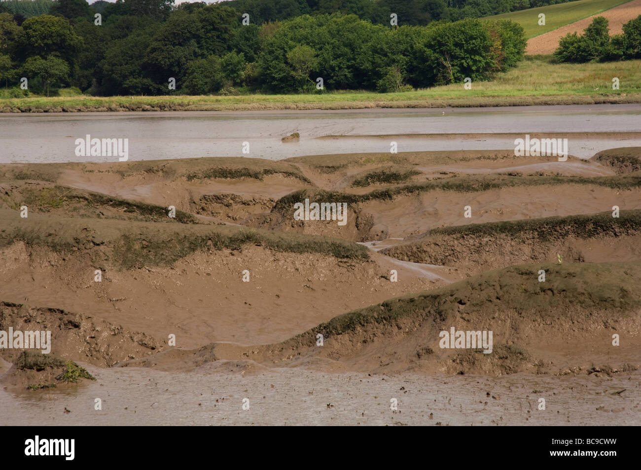Cleddau wales hi-res stock photography and images - Alamy