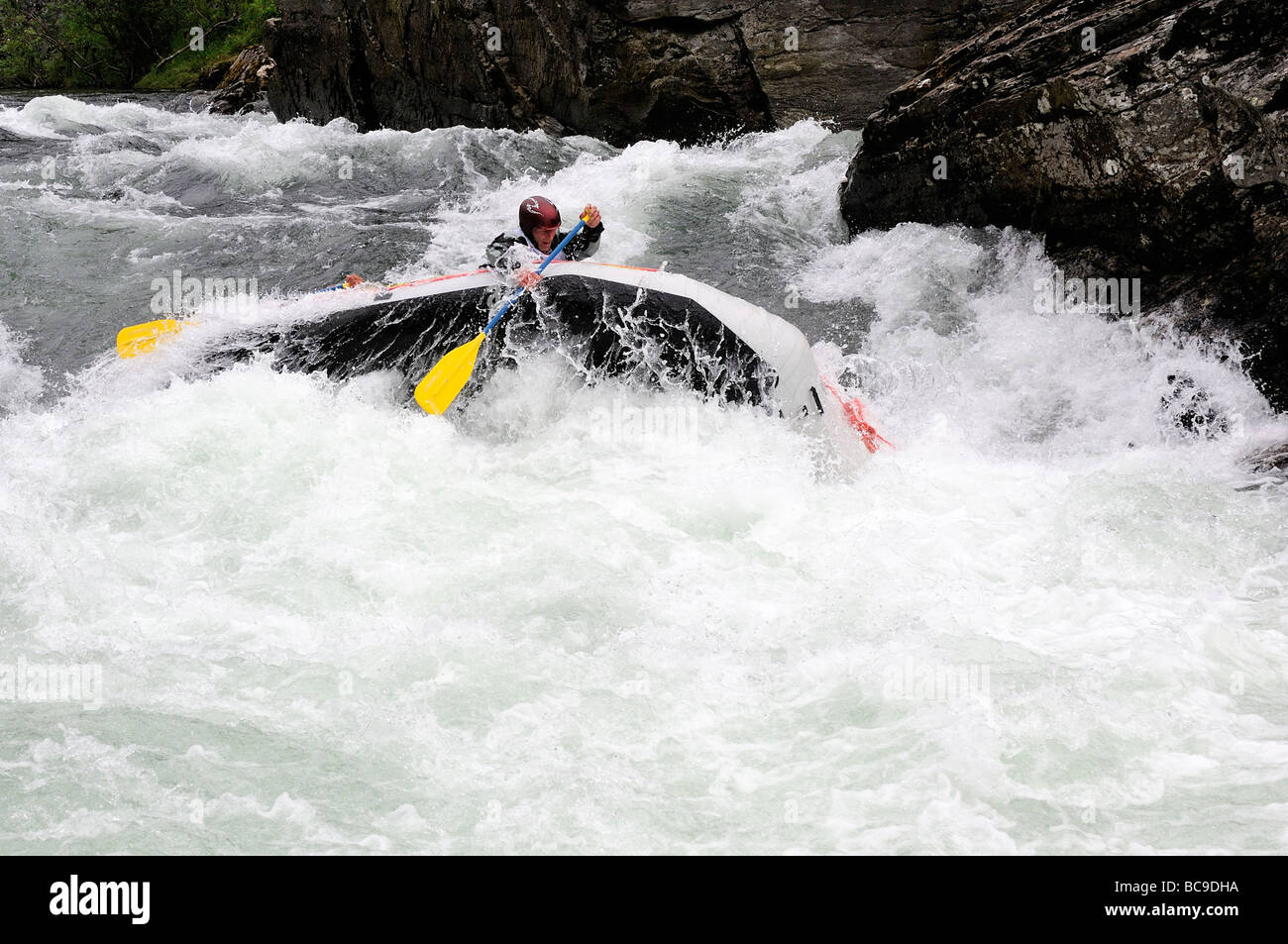 Extreme fighting hi-res stock photography and images - Alamy
