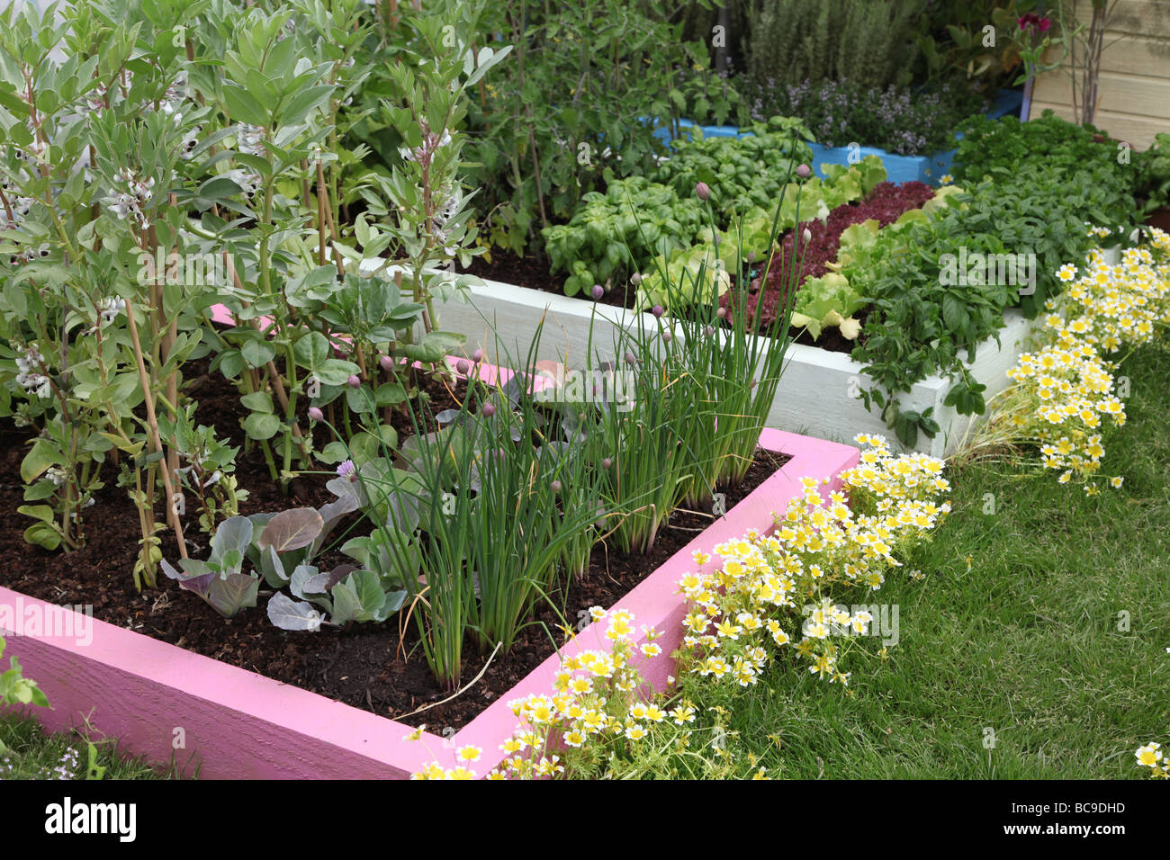 pretty vegetable beds Bloom 2009 Stock Photo - Alamy