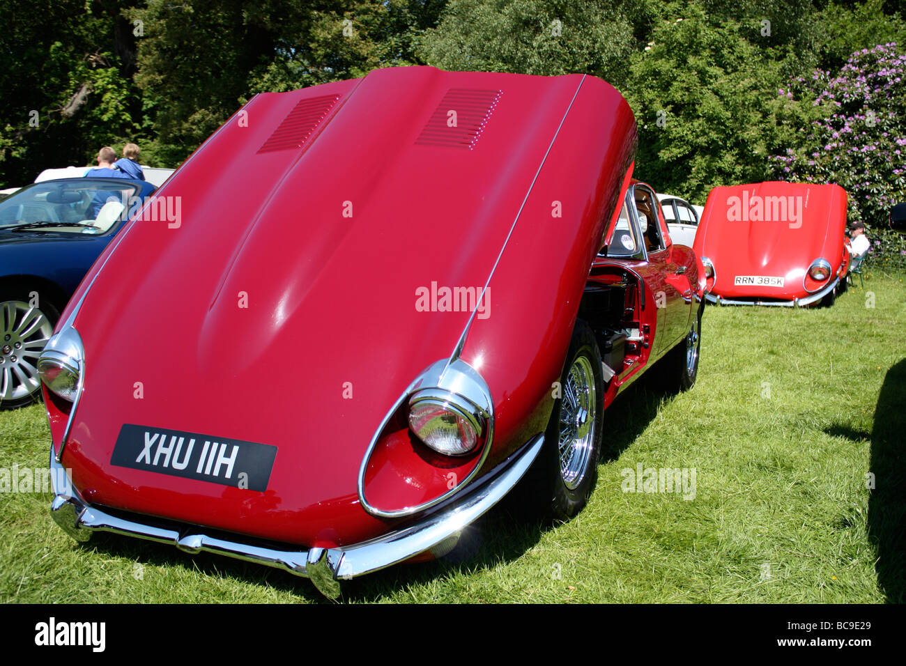 Jaguar car bonnet hi-res stock photography and images - Alamy