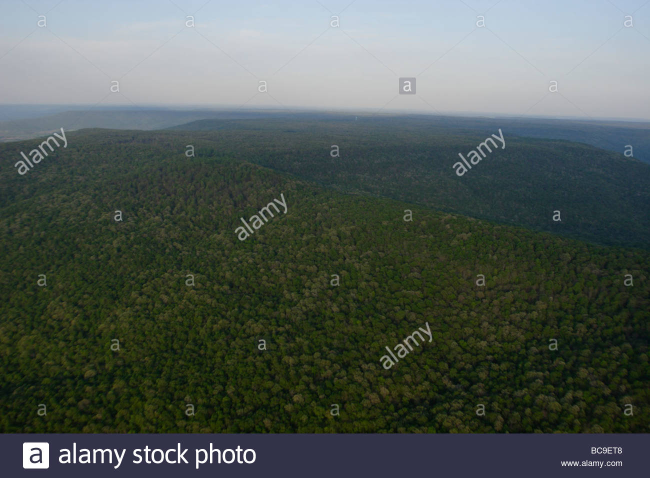 Cumberland Plateau Tennessee Stock Photos & Cumberland Plateau ...