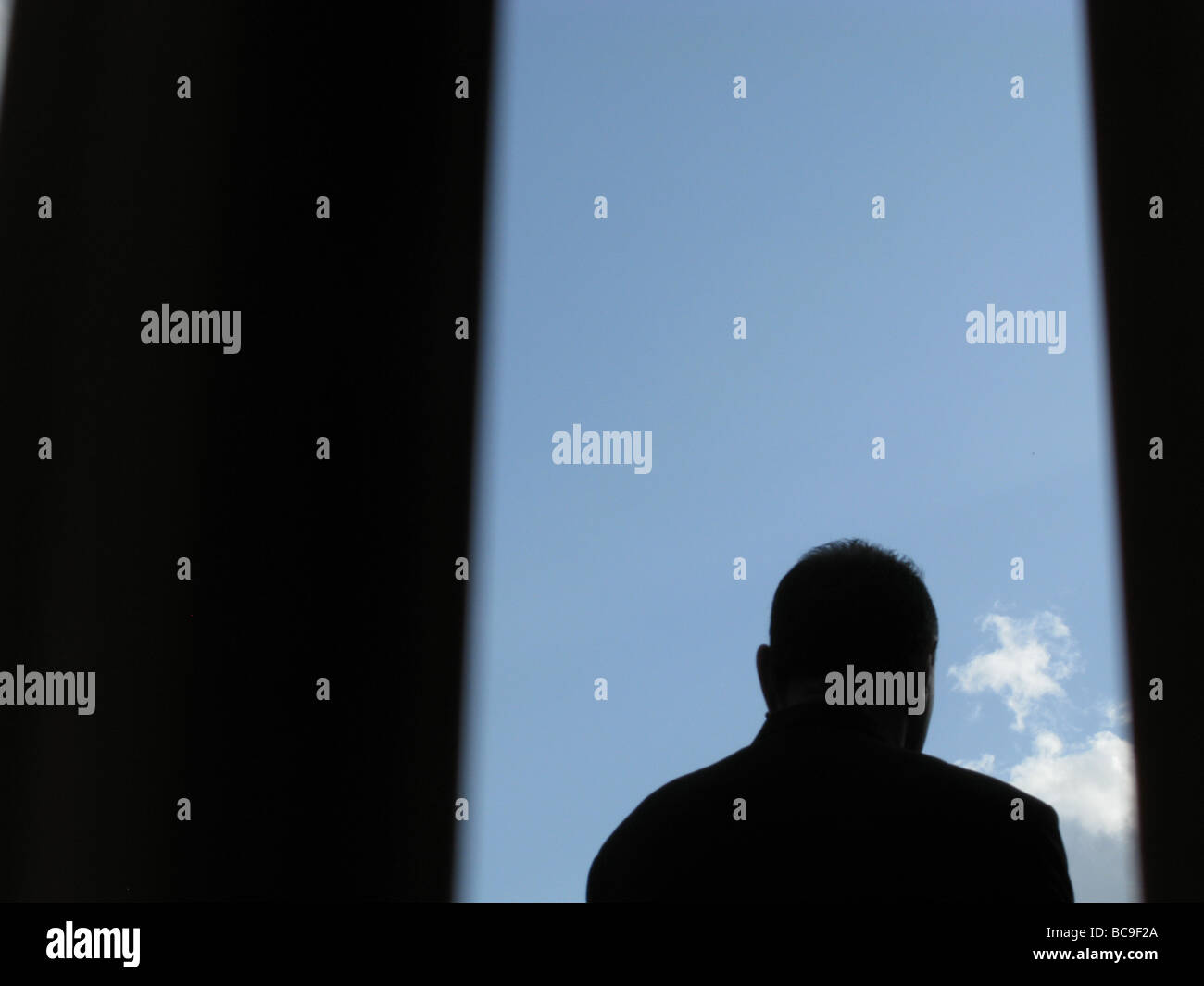 security guard in action at important event Stock Photo - Alamy