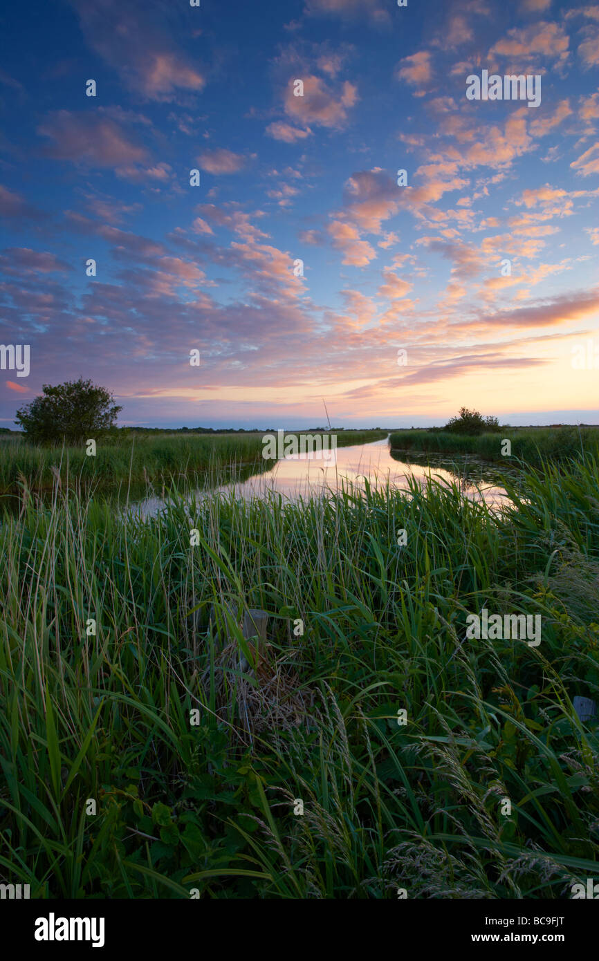 Norfolk Broads countryside near West Somerton Stock Photo - Alamy