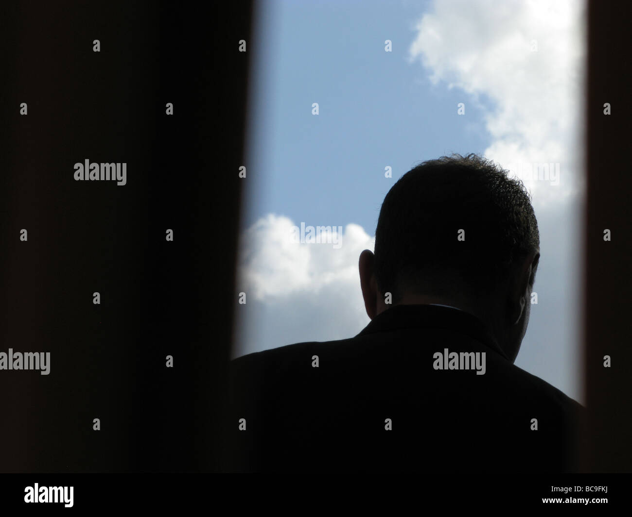 security guard in action at important event Stock Photo - Alamy